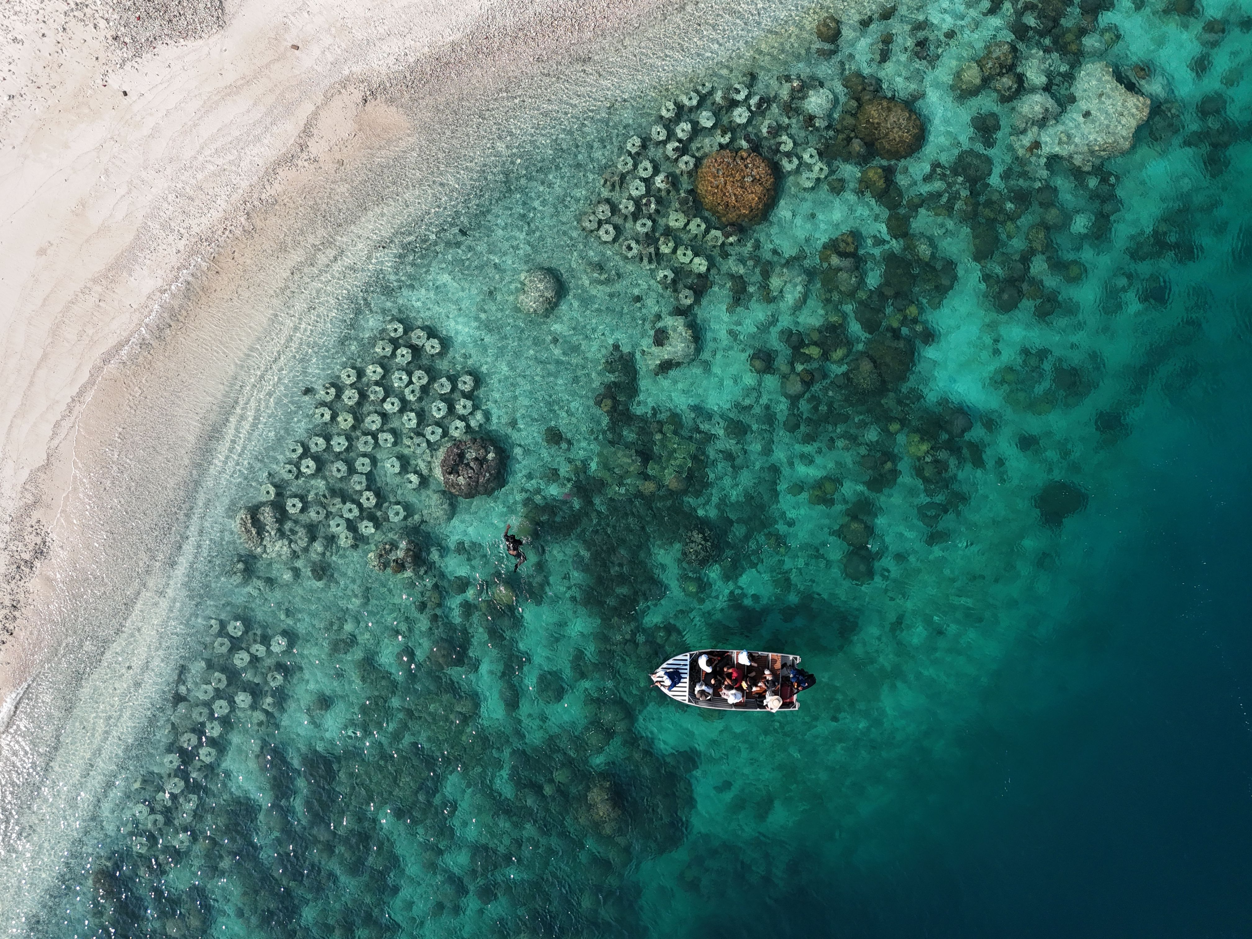 Aerial View of Coral Reefs in Jakarta's Clear Waters · Free Stock Photo