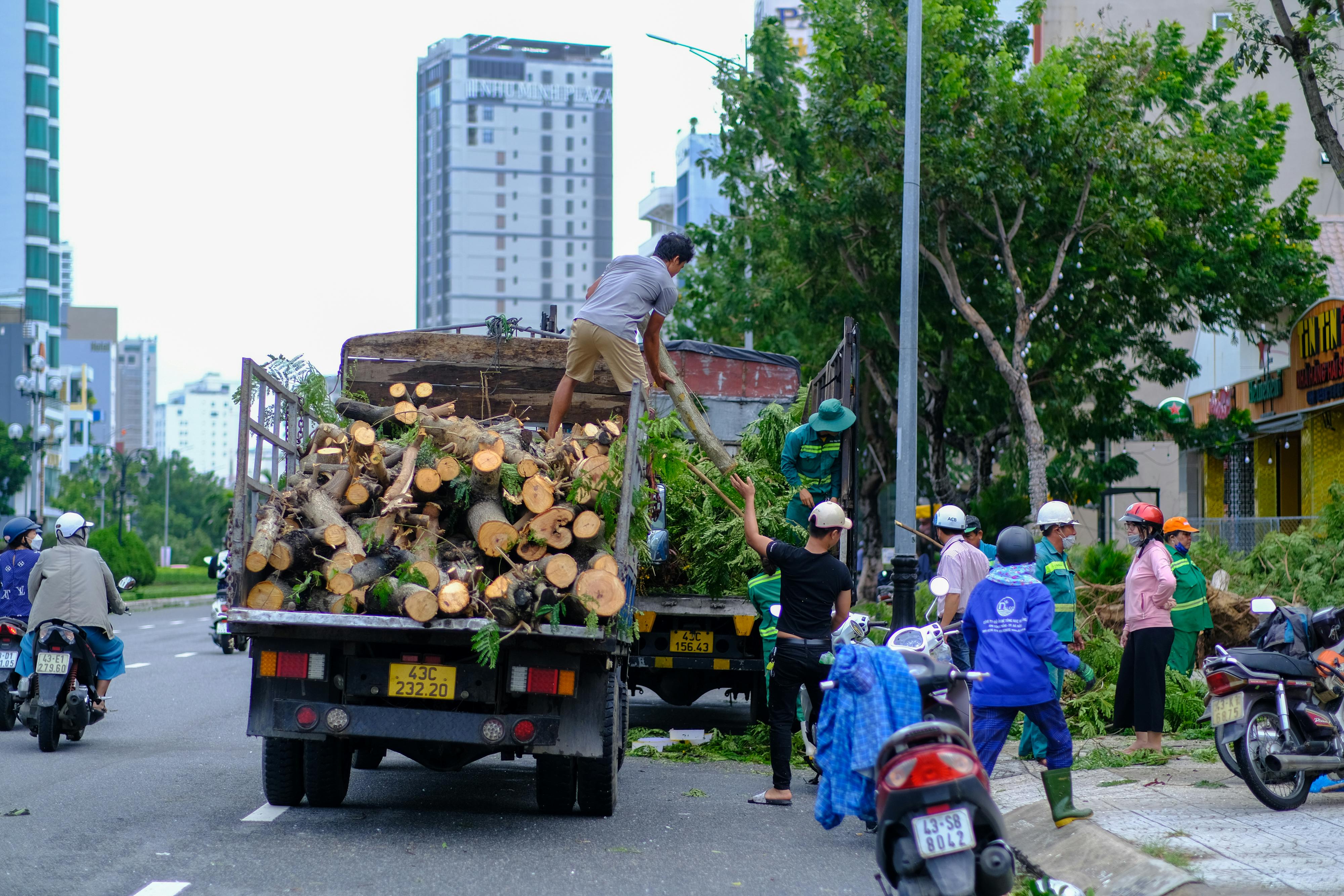 Workers At Work Photos, Download The BEST Free Workers At Work Stock ...