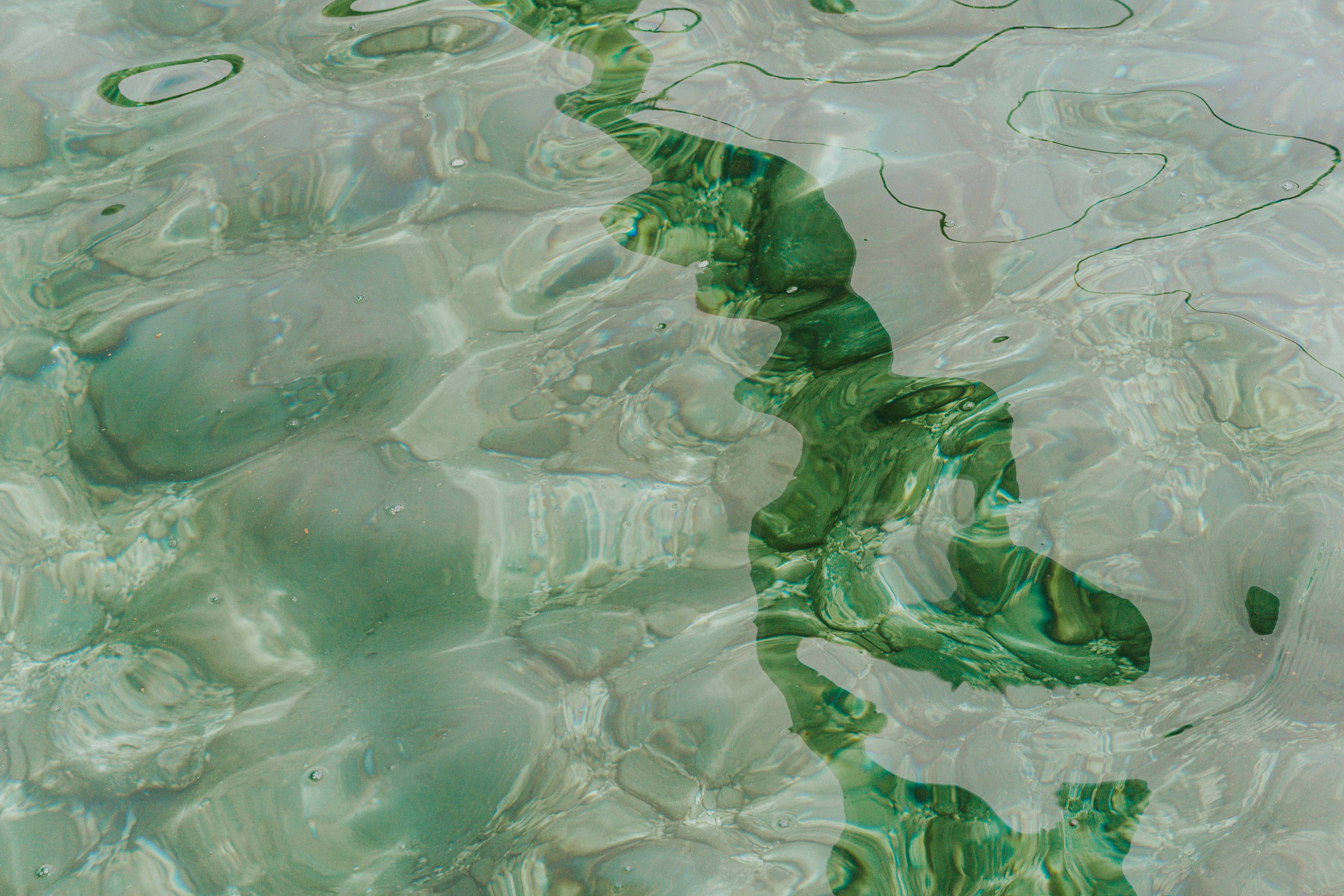 Translucent Photos, Download The BEST Free Translucent Stock Photos ...