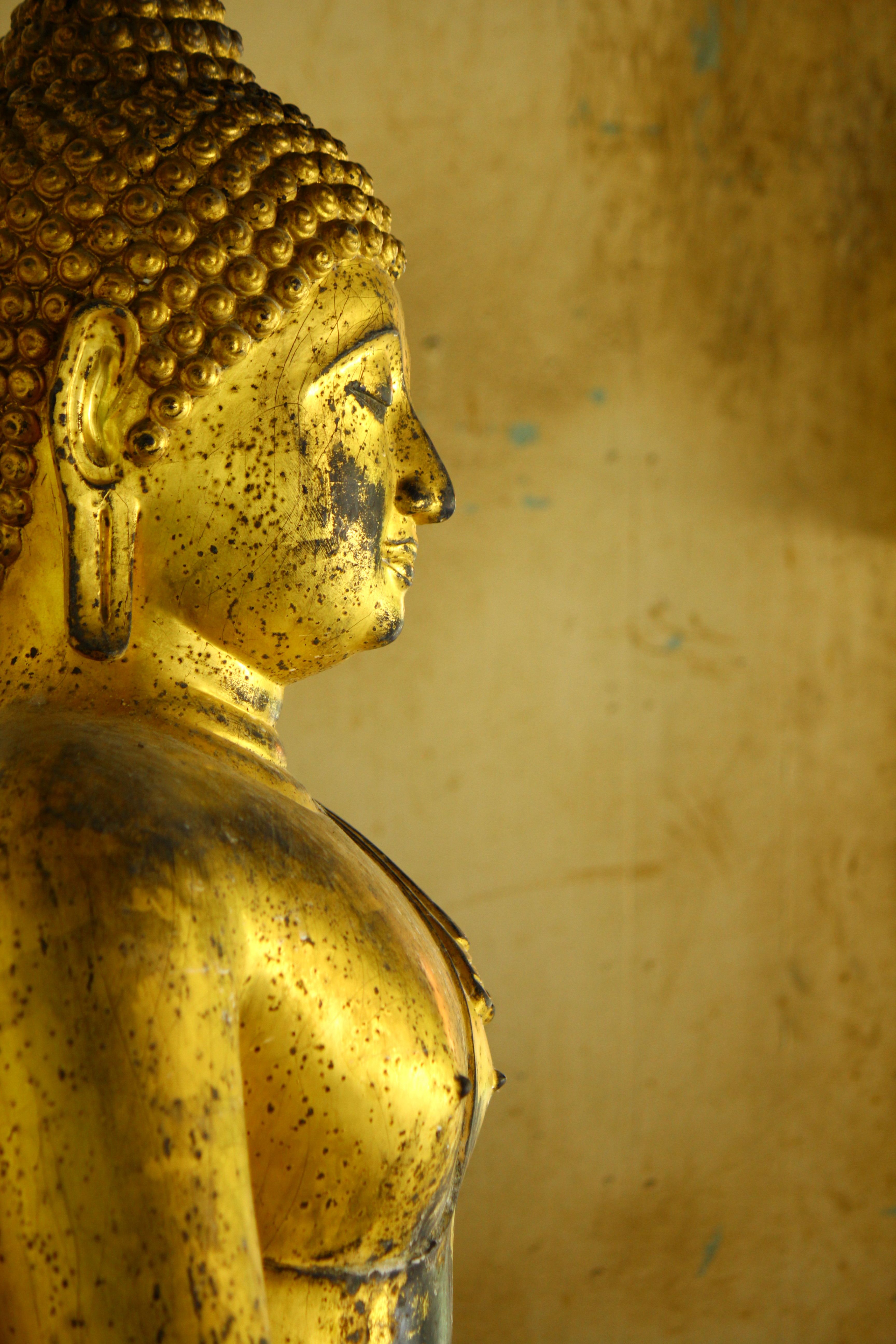 Enlightenment Photos, Download The BEST Free Enlightenment Stock Photos ...
