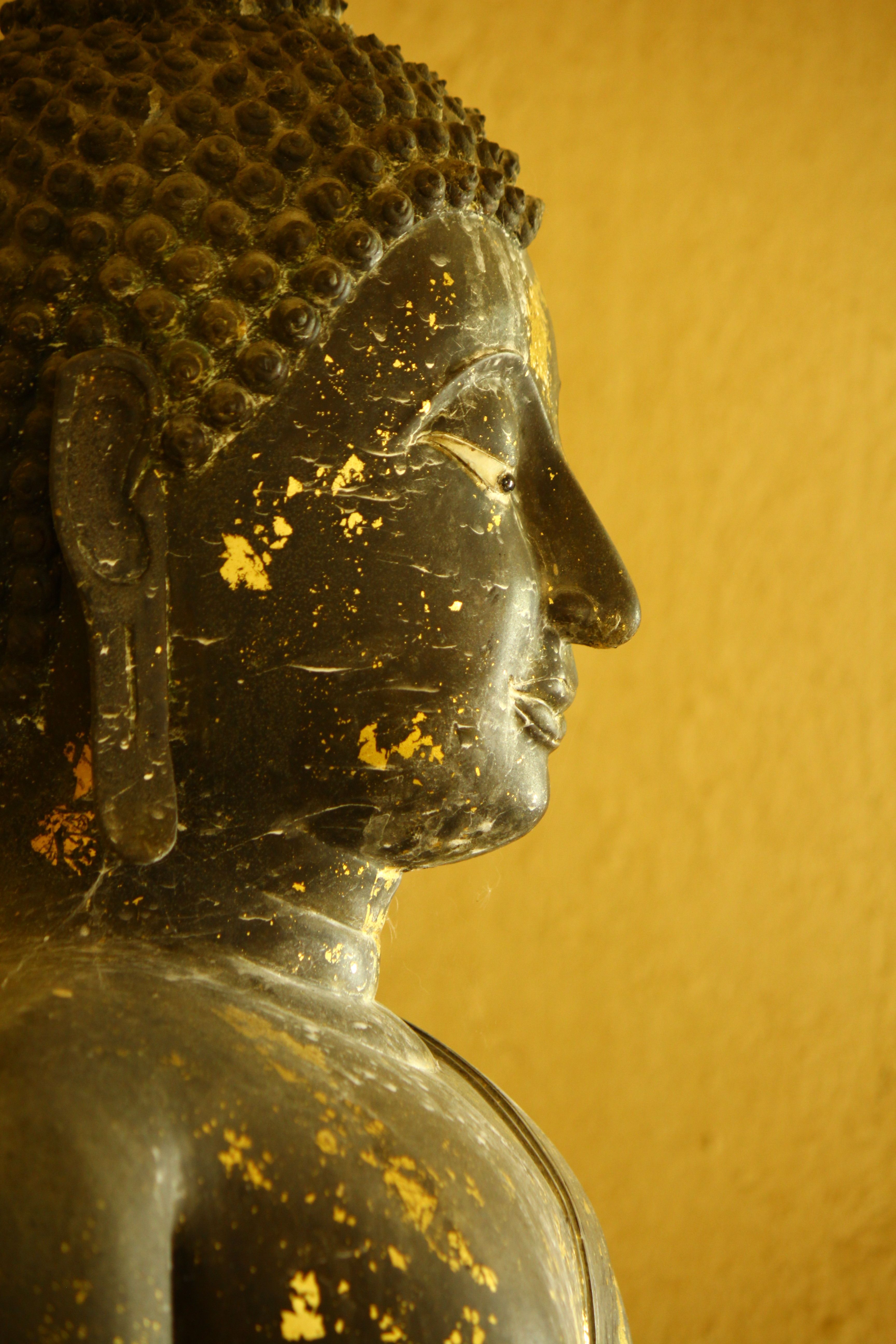 Enlightenment Photos, Download The BEST Free Enlightenment Stock Photos ...