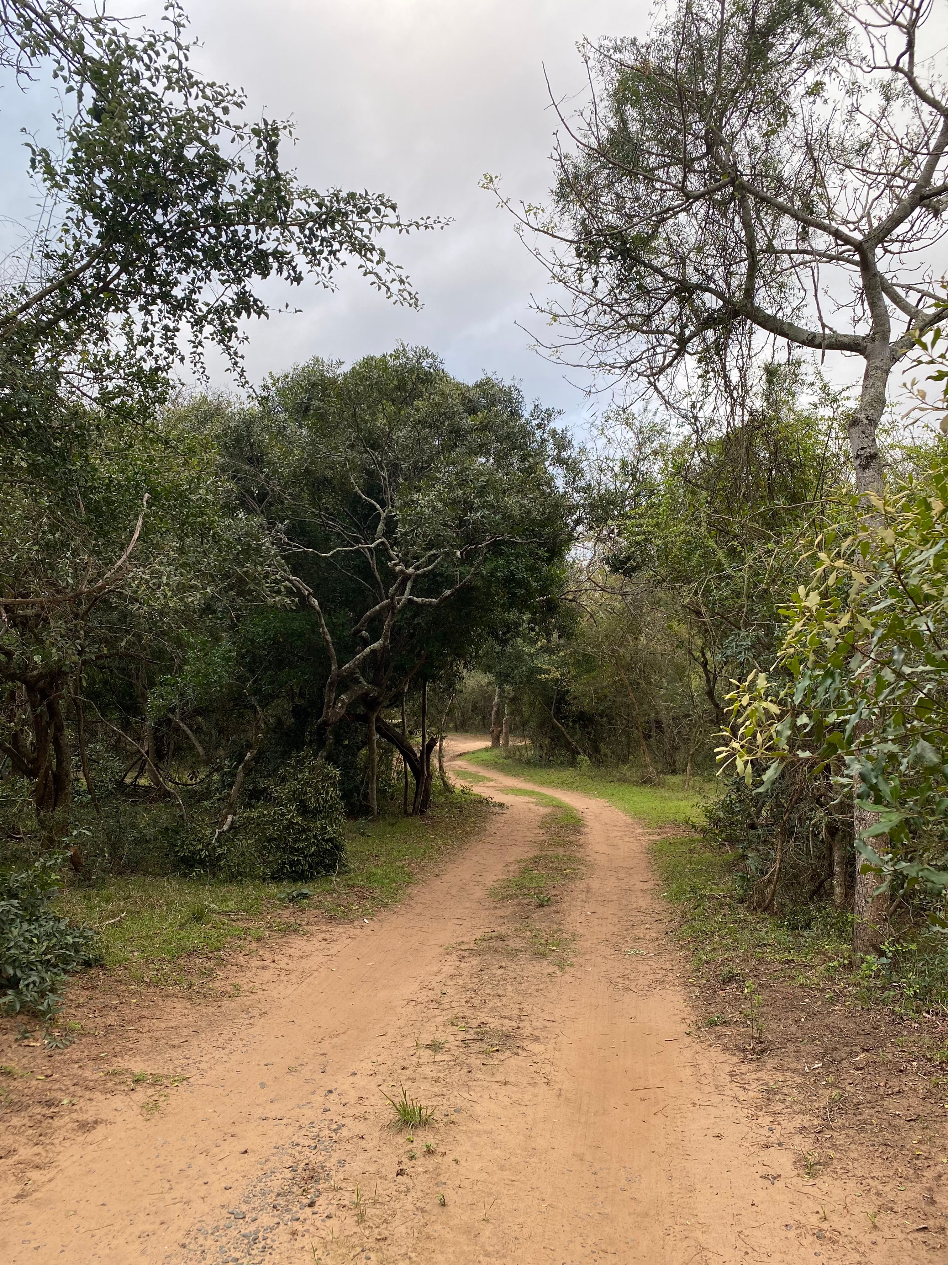 Winding Path Photos, Download The BEST Free Winding Path Stock Photos ...
