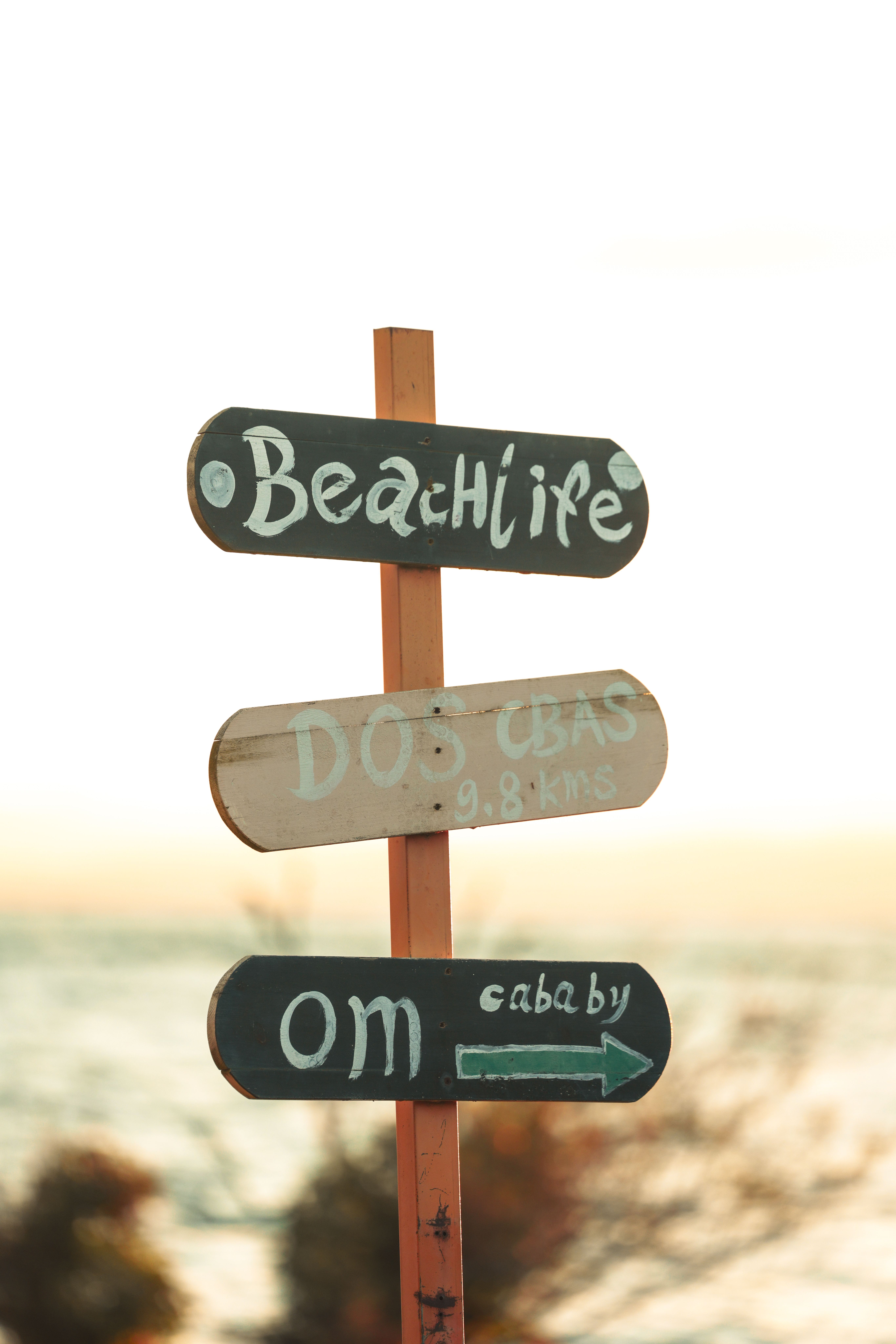 Rustic Beach Directional Signs at Sunset · Free Stock Photo