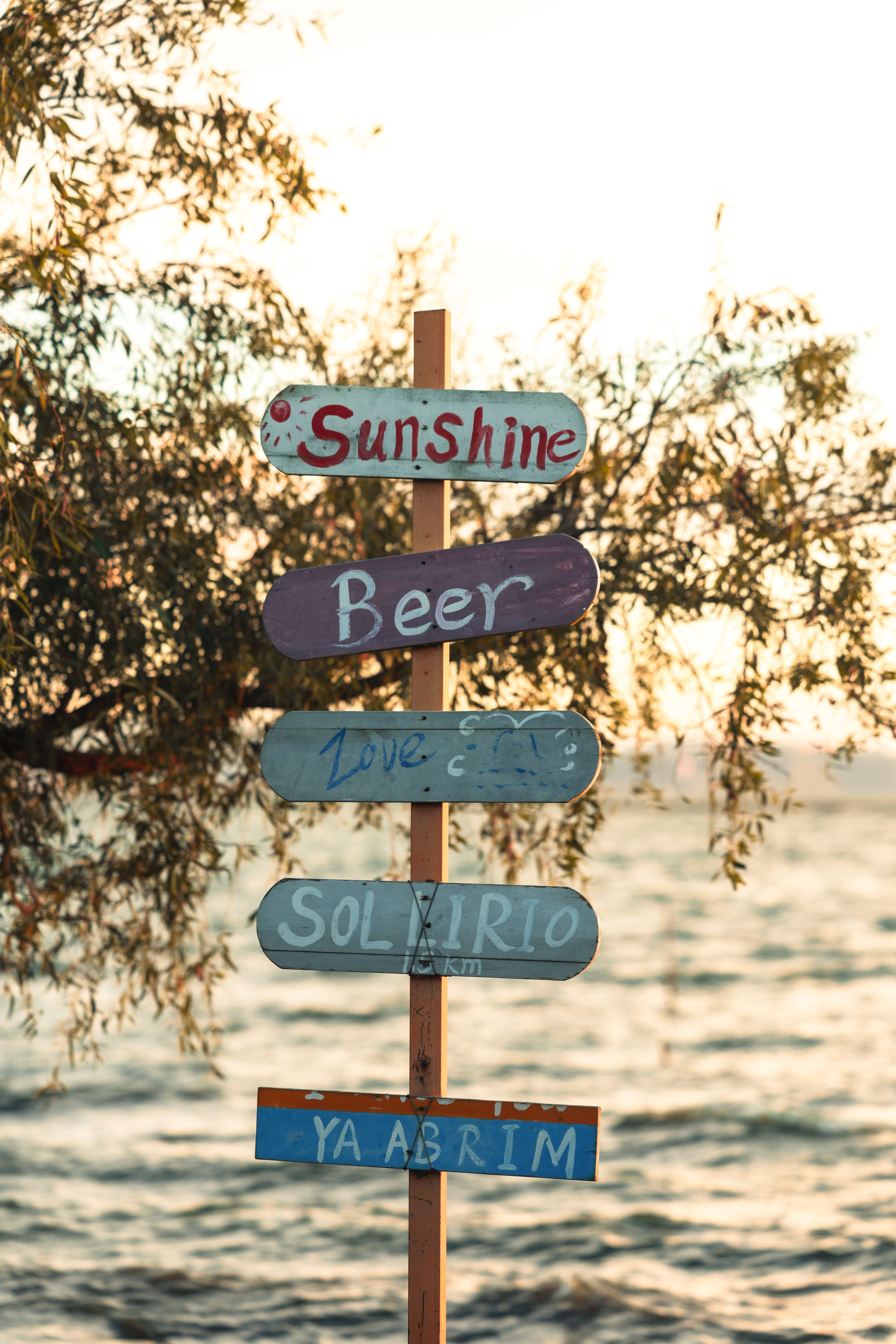 Colorful Beach Signpost with Fun Messages · Free Stock Photo