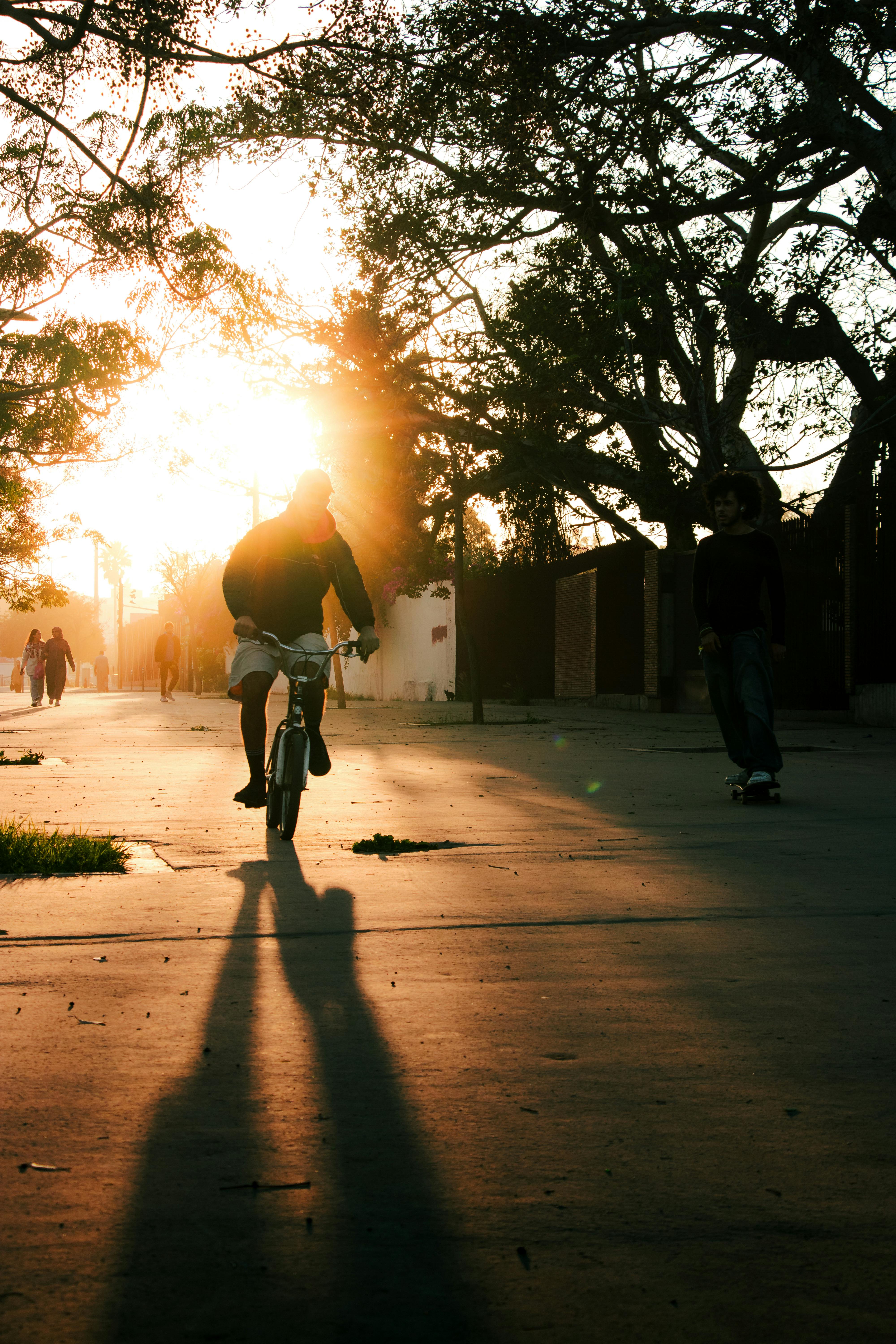 Skateboard Pfp Photos, Download The BEST Free Skateboard Pfp Stock ...