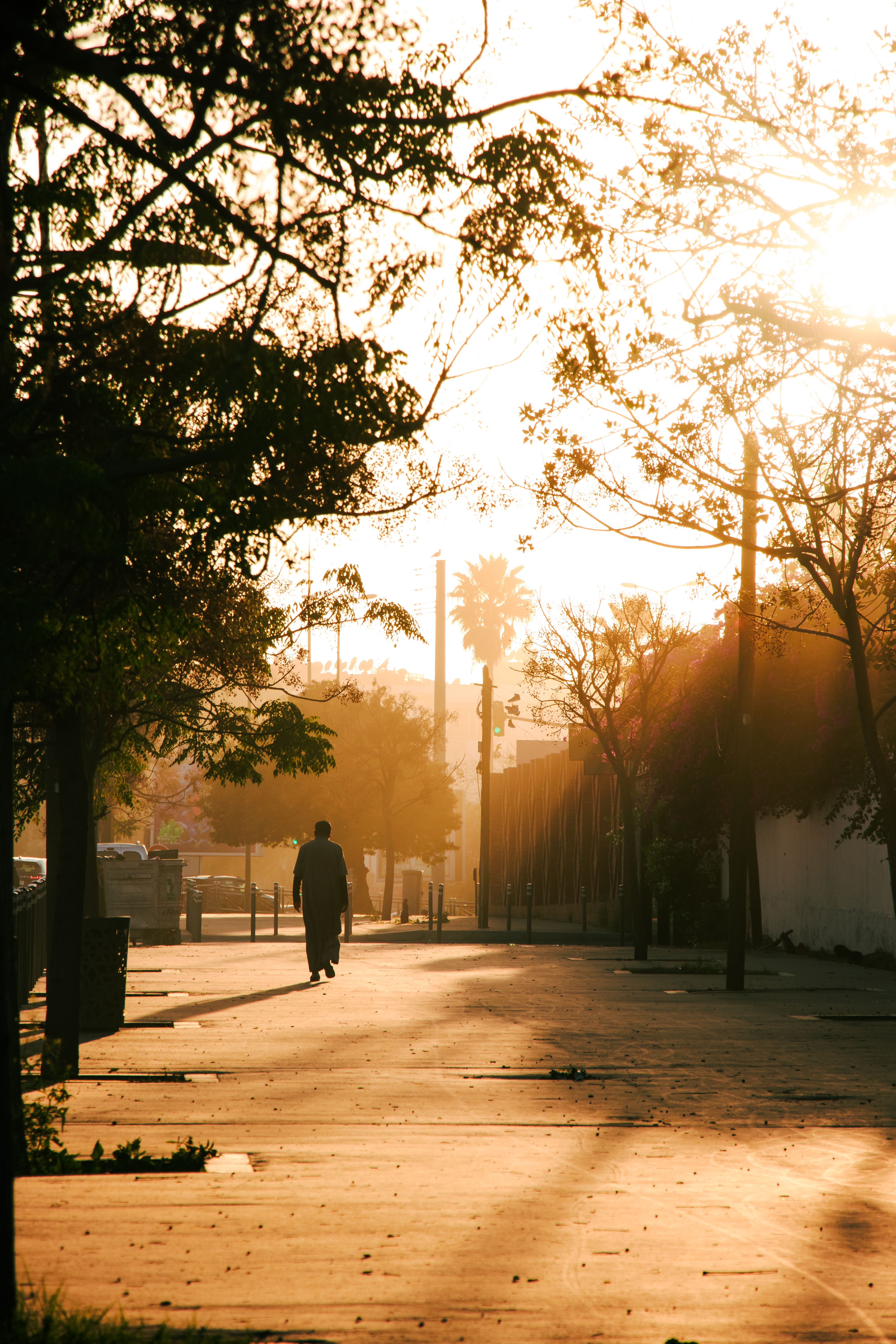 Golden Hour Street Scene with Silhouette · Free Stock Photo