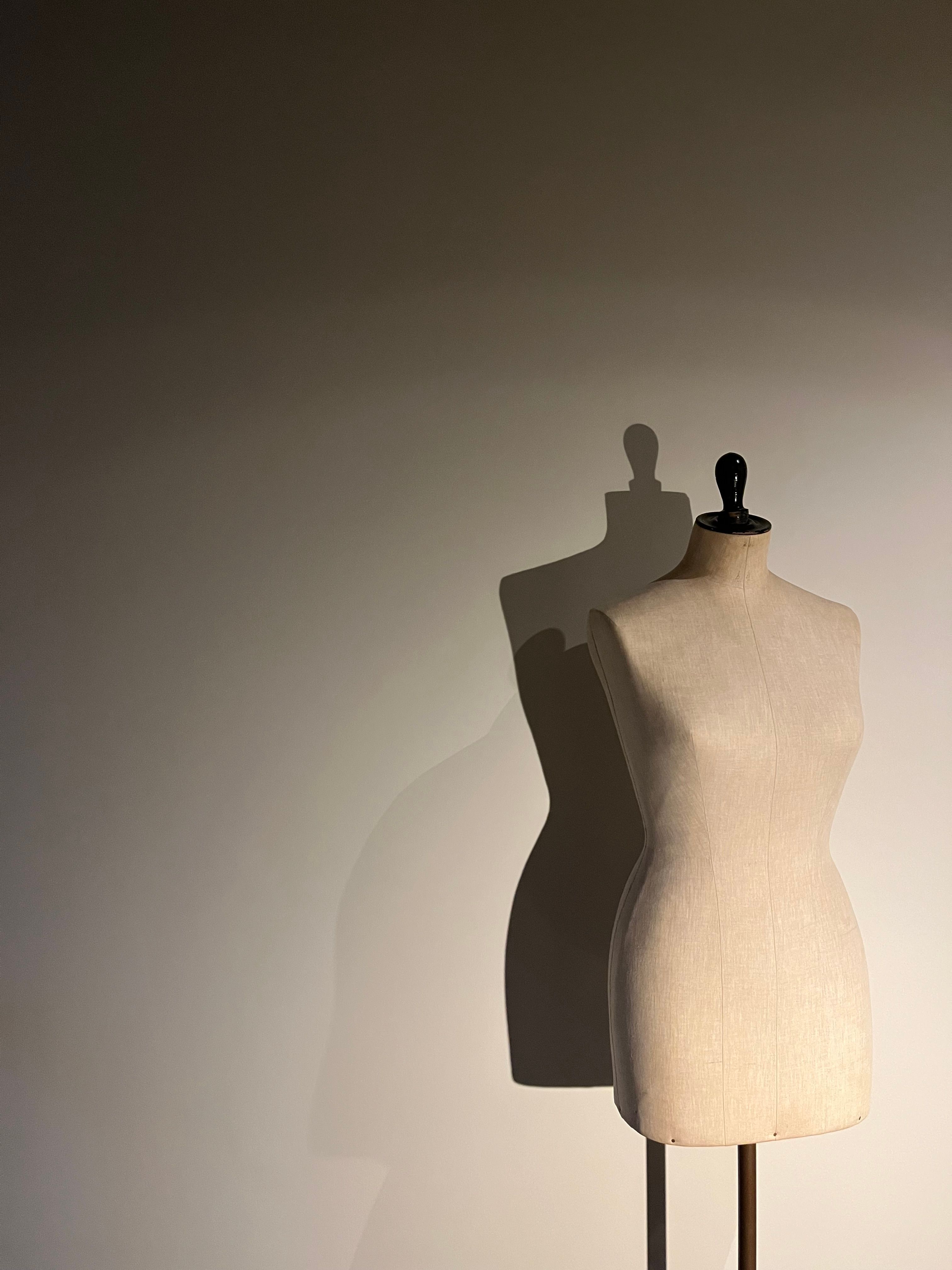 Minimalist Mannequin with Shadow in Soft Light · Free Stock Photo