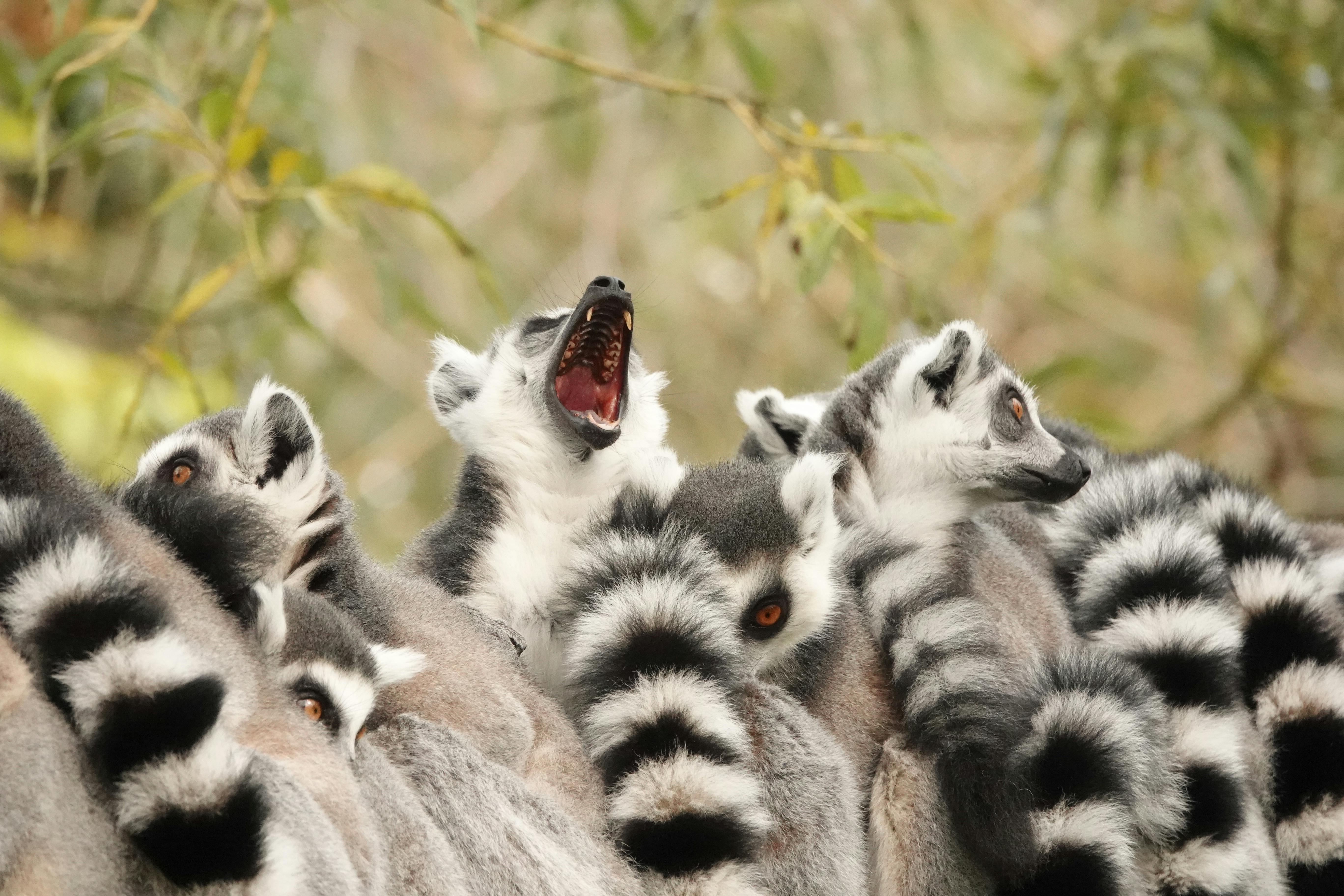 Social Structure Photos, Download The BEST Free Social Structure Stock ...