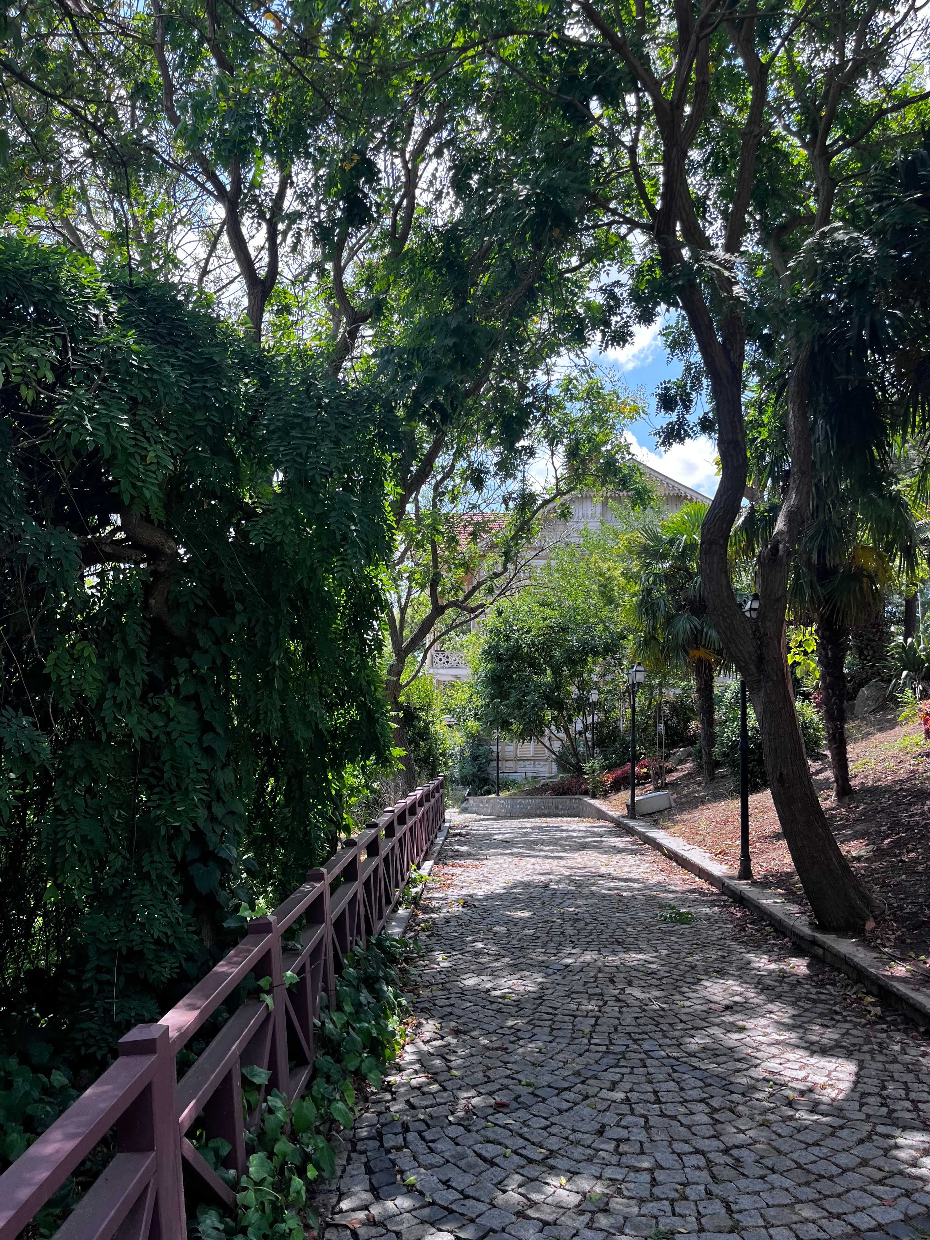 Scenic Cobblestone Path Through Green Park · Free Stock Photo