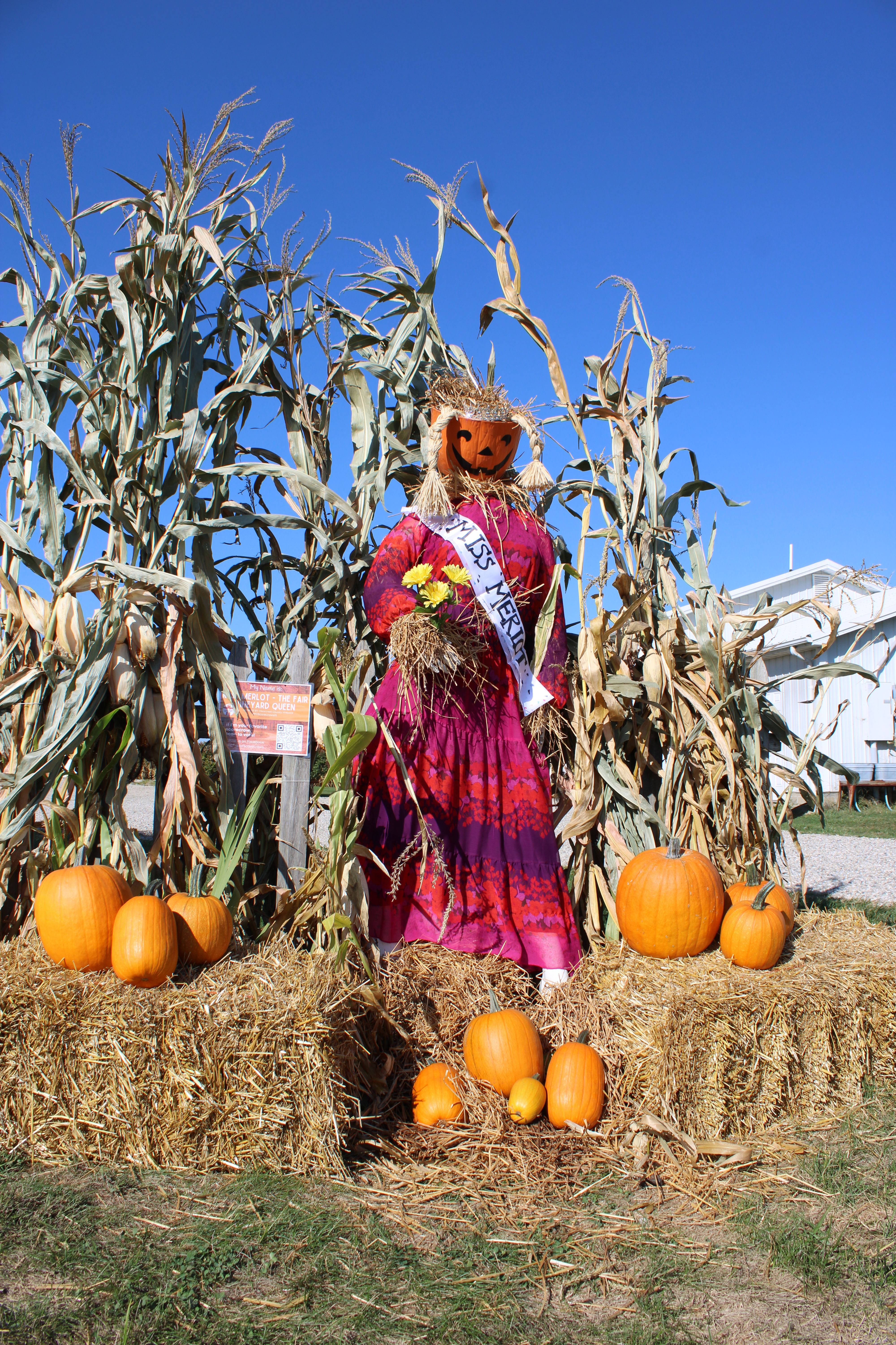Ohio Corn Photos, Download The BEST Free Ohio Corn Stock Photos & HD Images