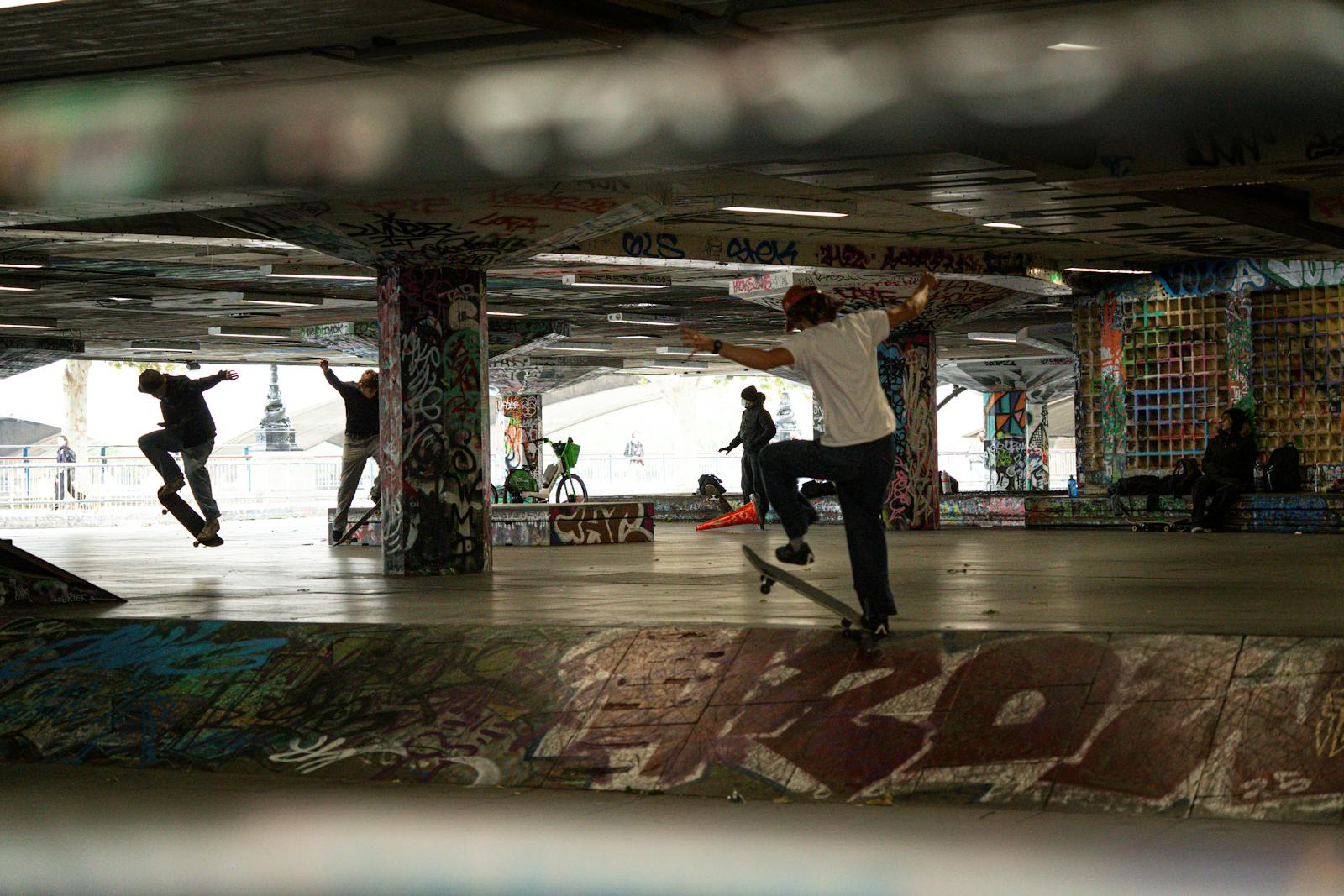 Skateboard Pfp Photos, Download The BEST Free Skateboard Pfp Stock ...