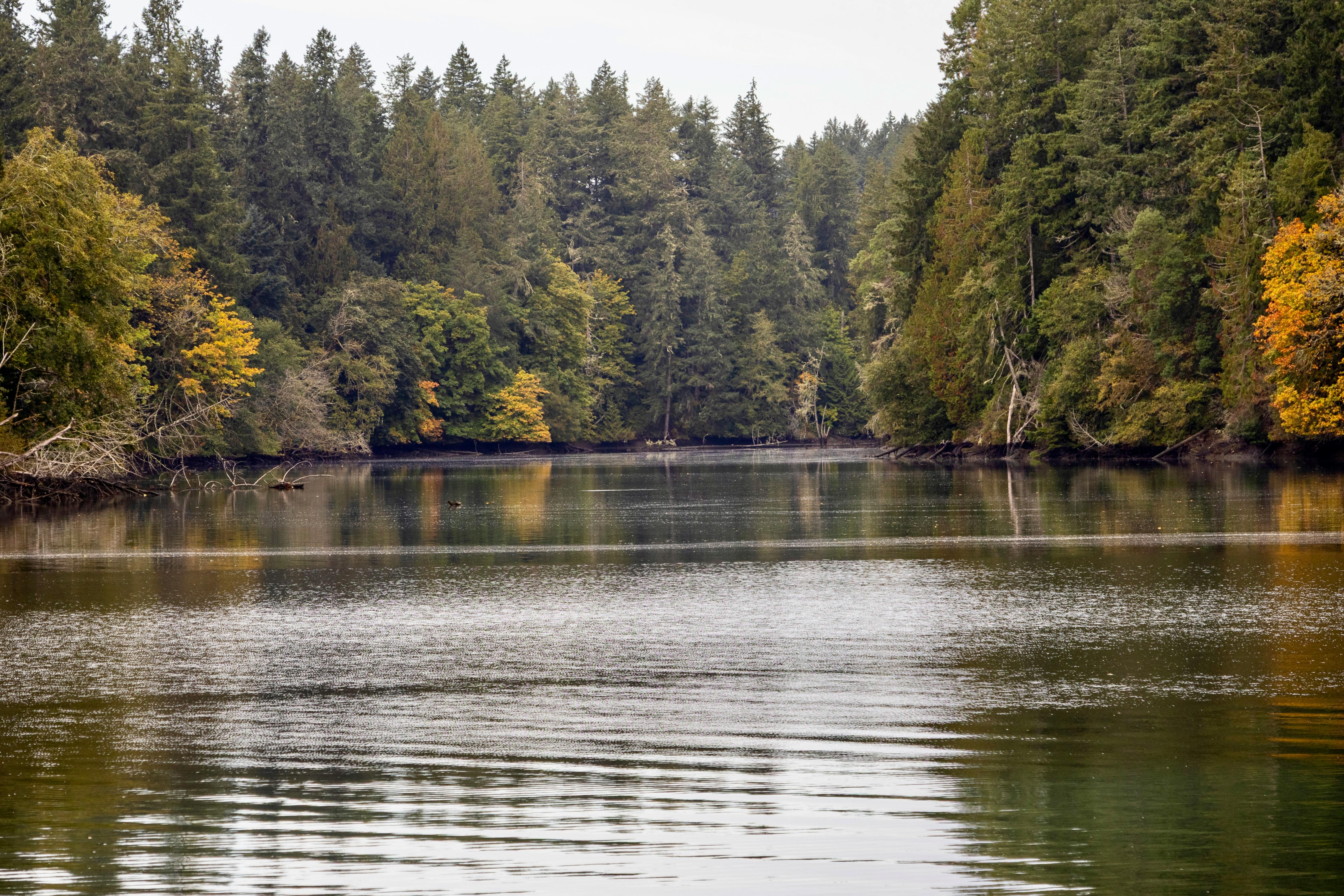 River Images Photos, Download The BEST Free River Images Stock Photos ...