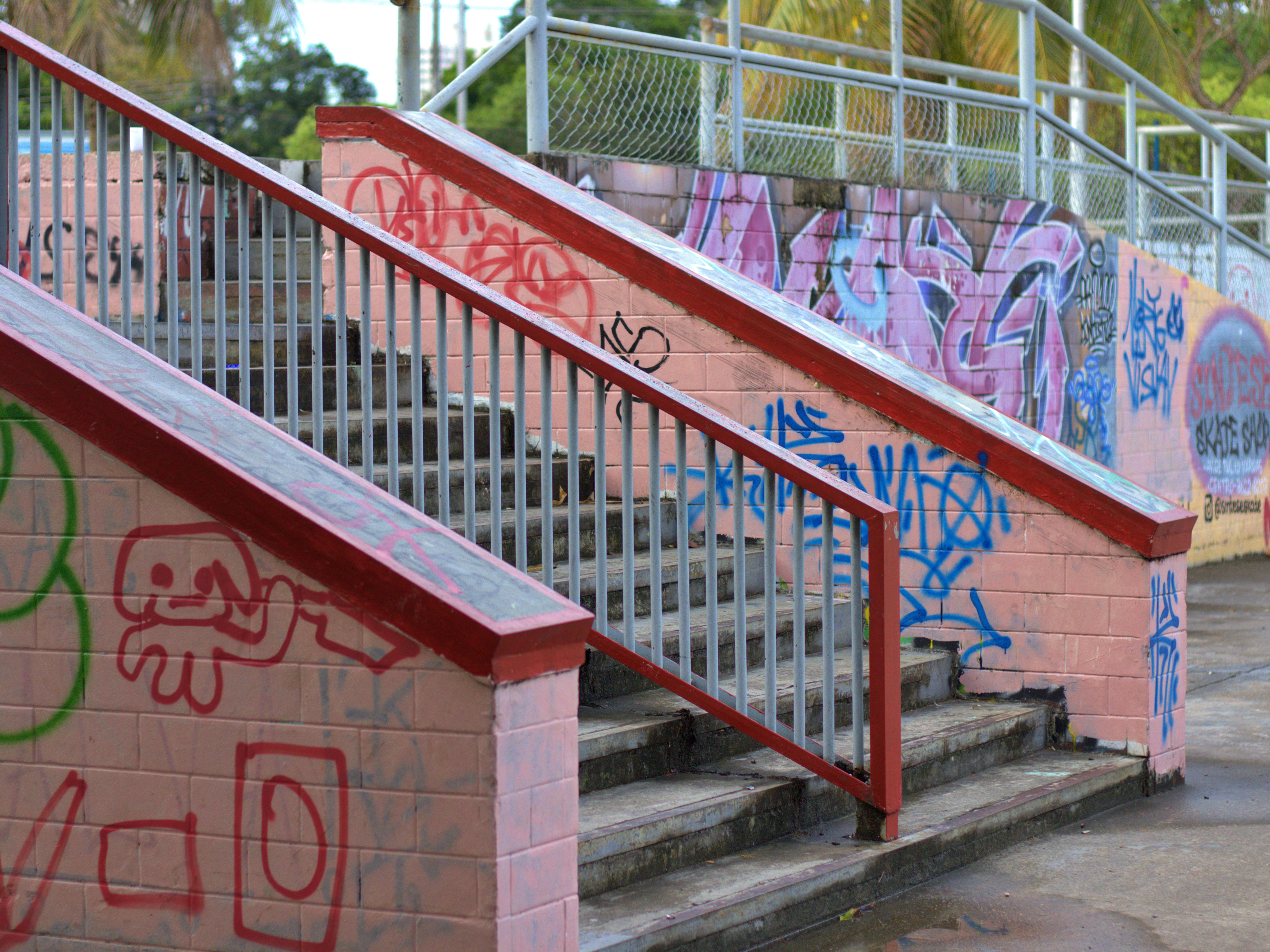 Urban Skatepark with Colorful Graffiti Art · Free Stock Photo