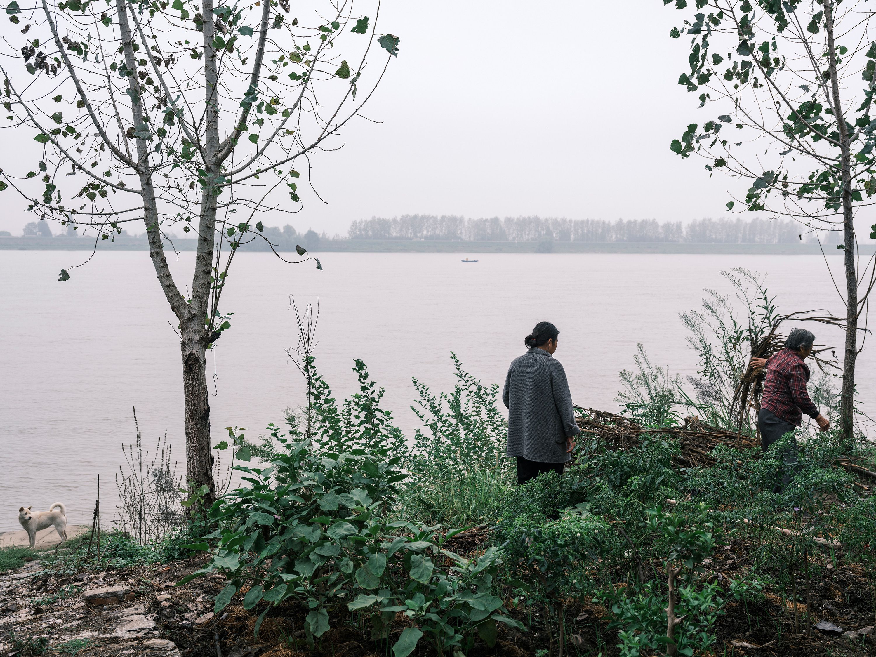 Serene Riverside Scene with People and Dog · Free Stock Photo