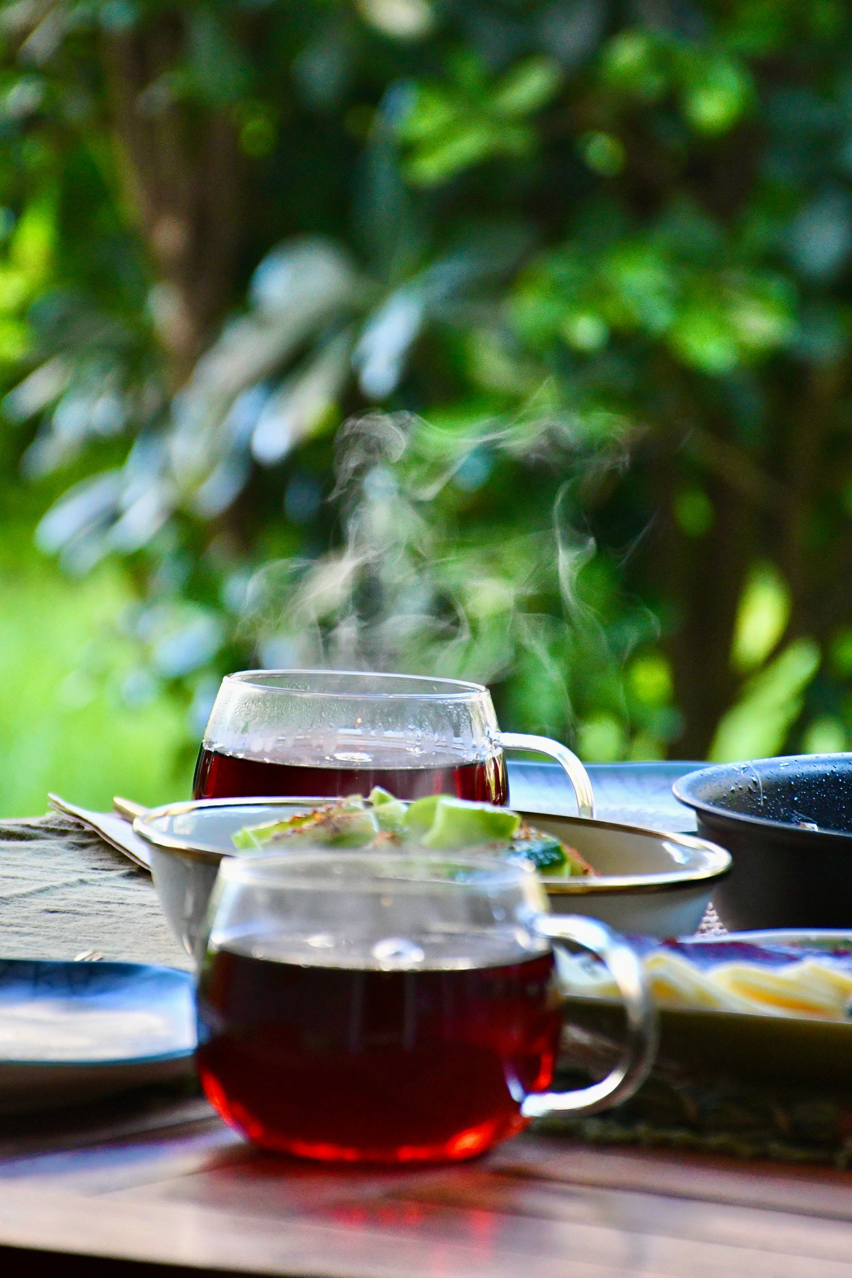 Steaming Herbal Tea Cups Outdoors in Nature · Free Stock Photo