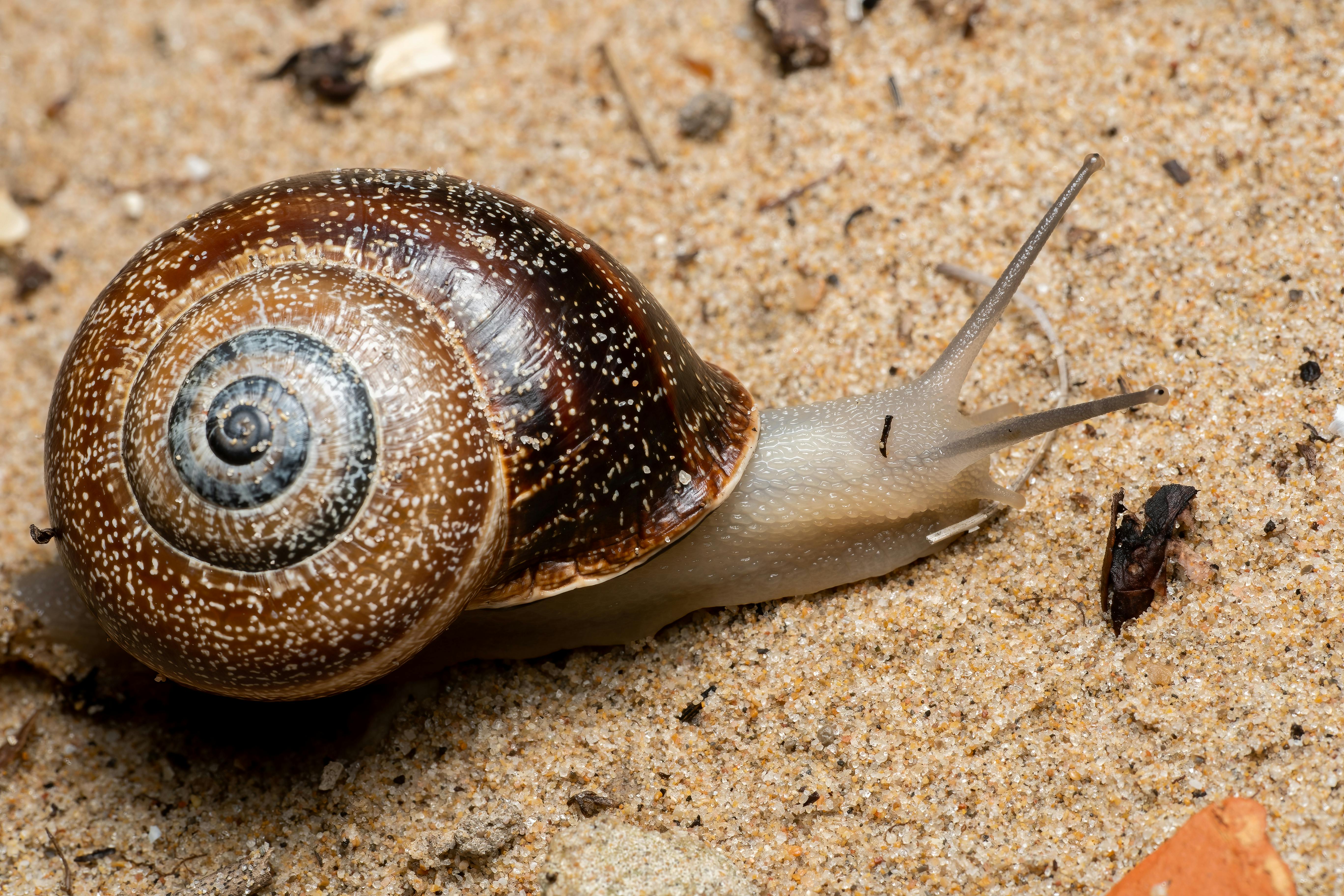 61.153+ Fotos y Imágenes de Insane wallpaper Gratis · Banco de Fotos Gratis