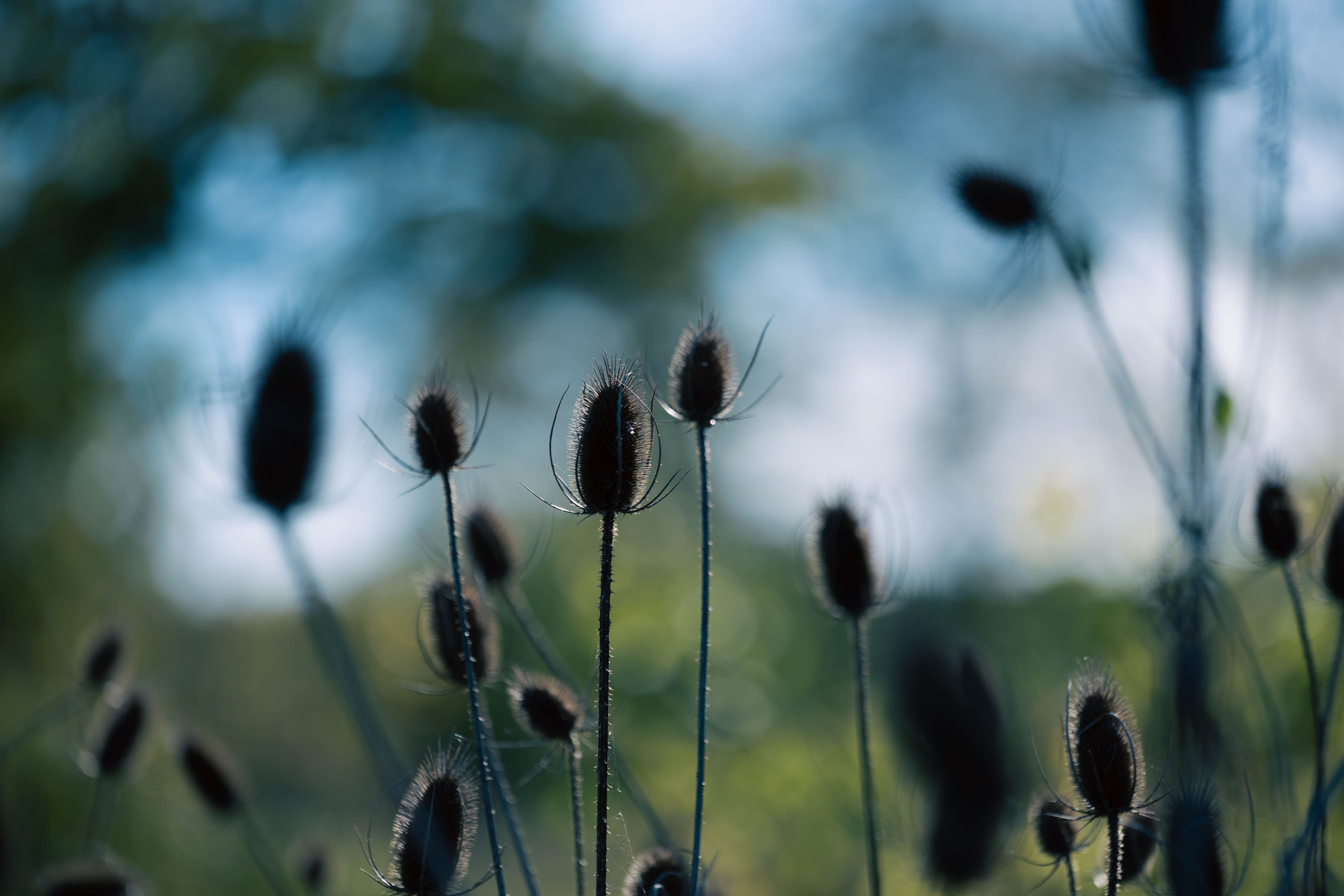 30.000+ Dt&form=vrdgar Bilder und Fotos · Kostenlos Downloaden · Pexels ...