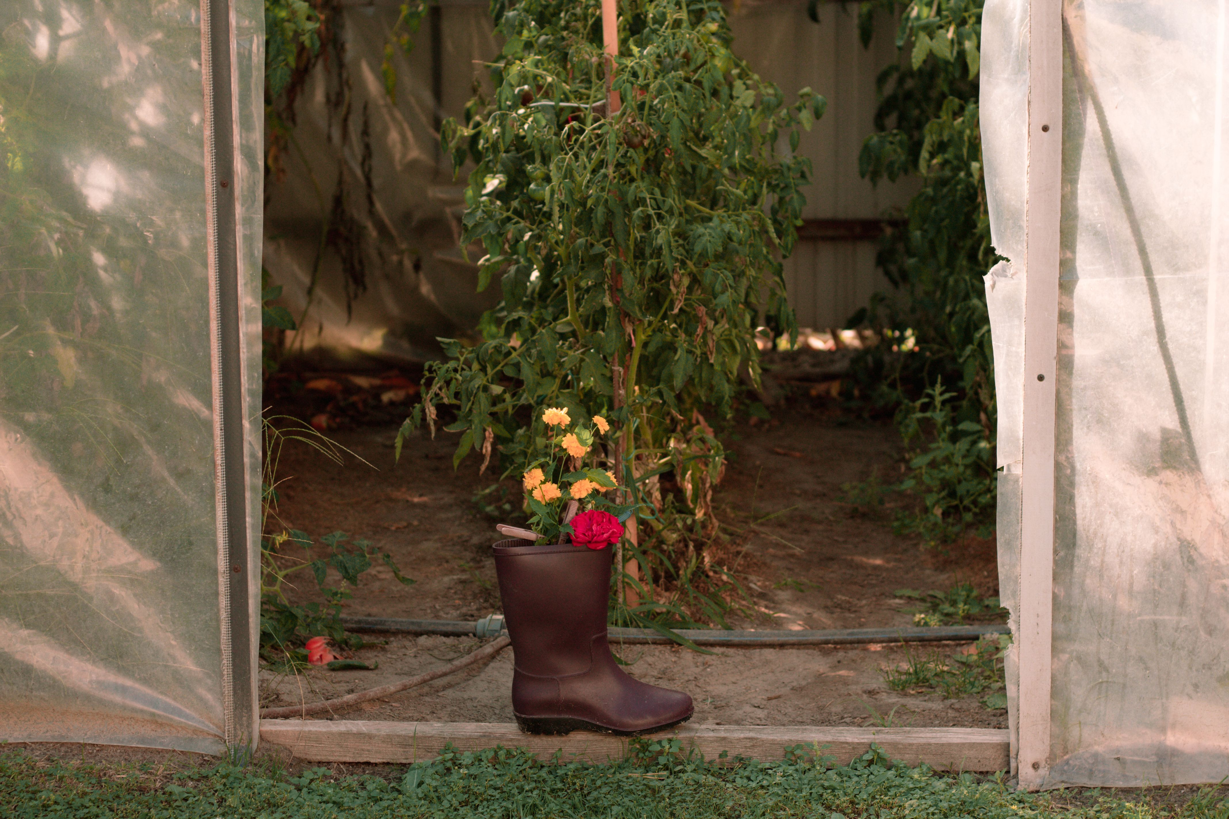 Creative Garden Scene with Boot Planter · Free Stock Photo