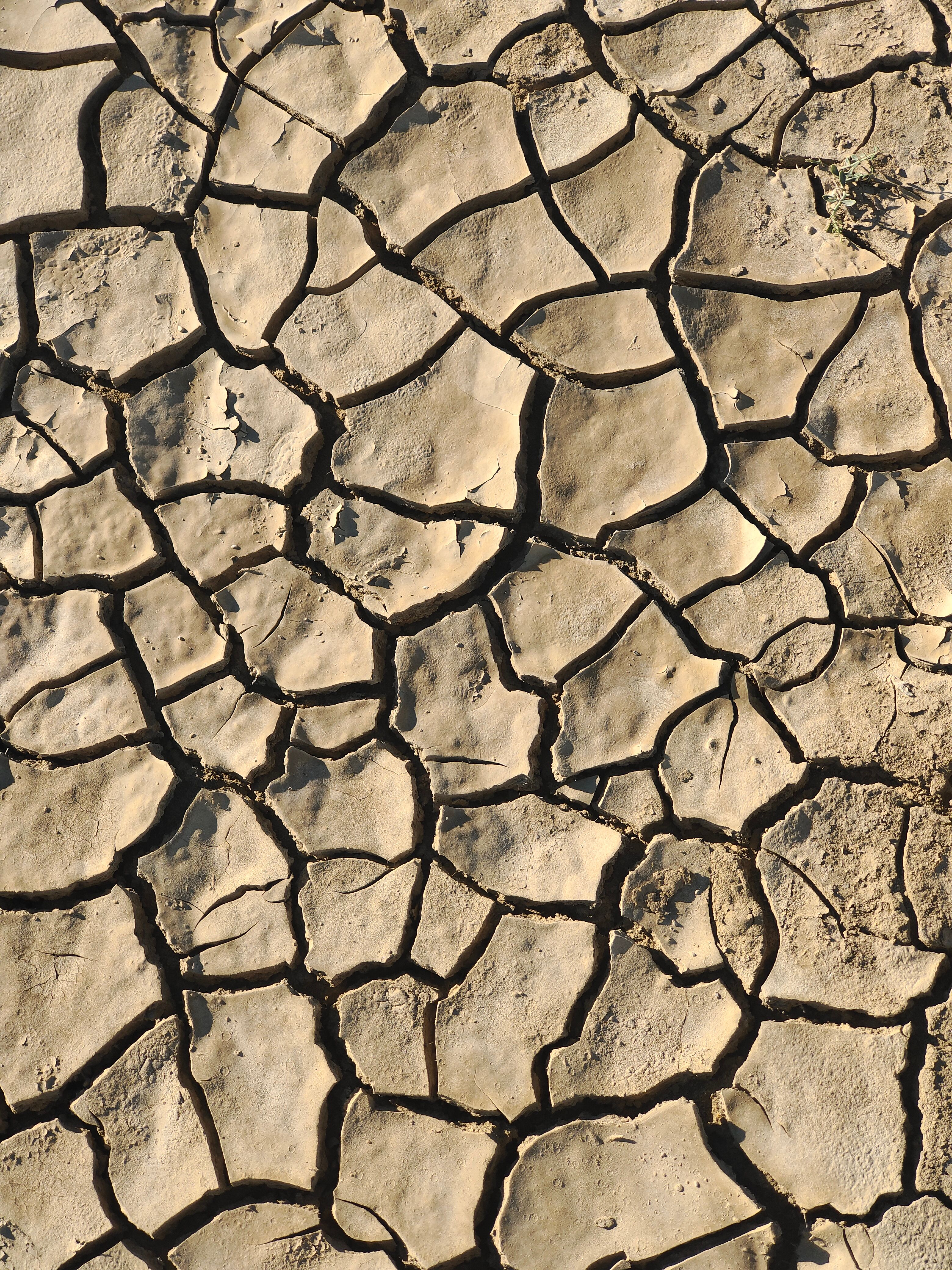 Parched Photos, Download The BEST Free Parched Stock Photos & HD Images