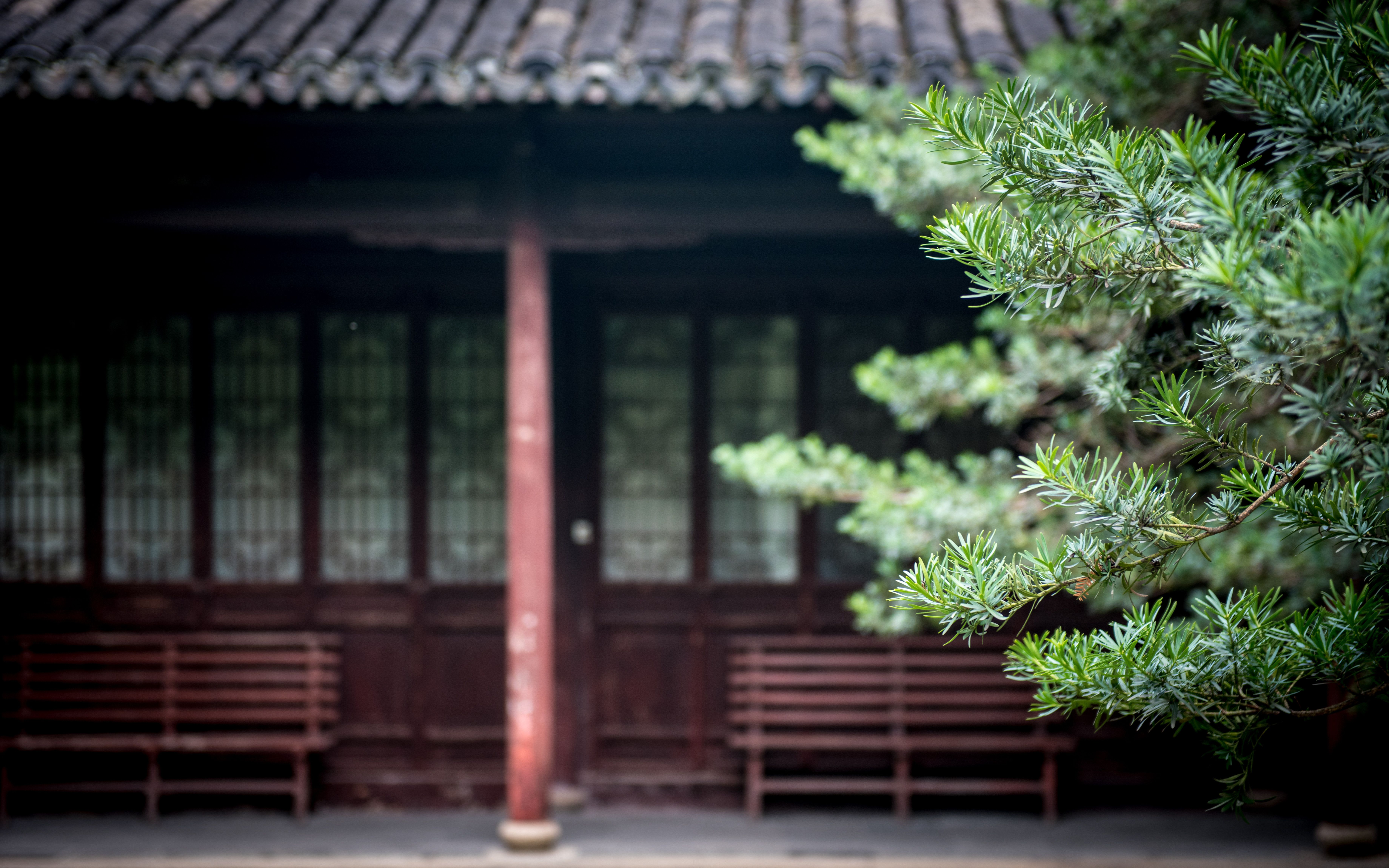 A Brown Wooden Door Propped Open · Free Stock Photo