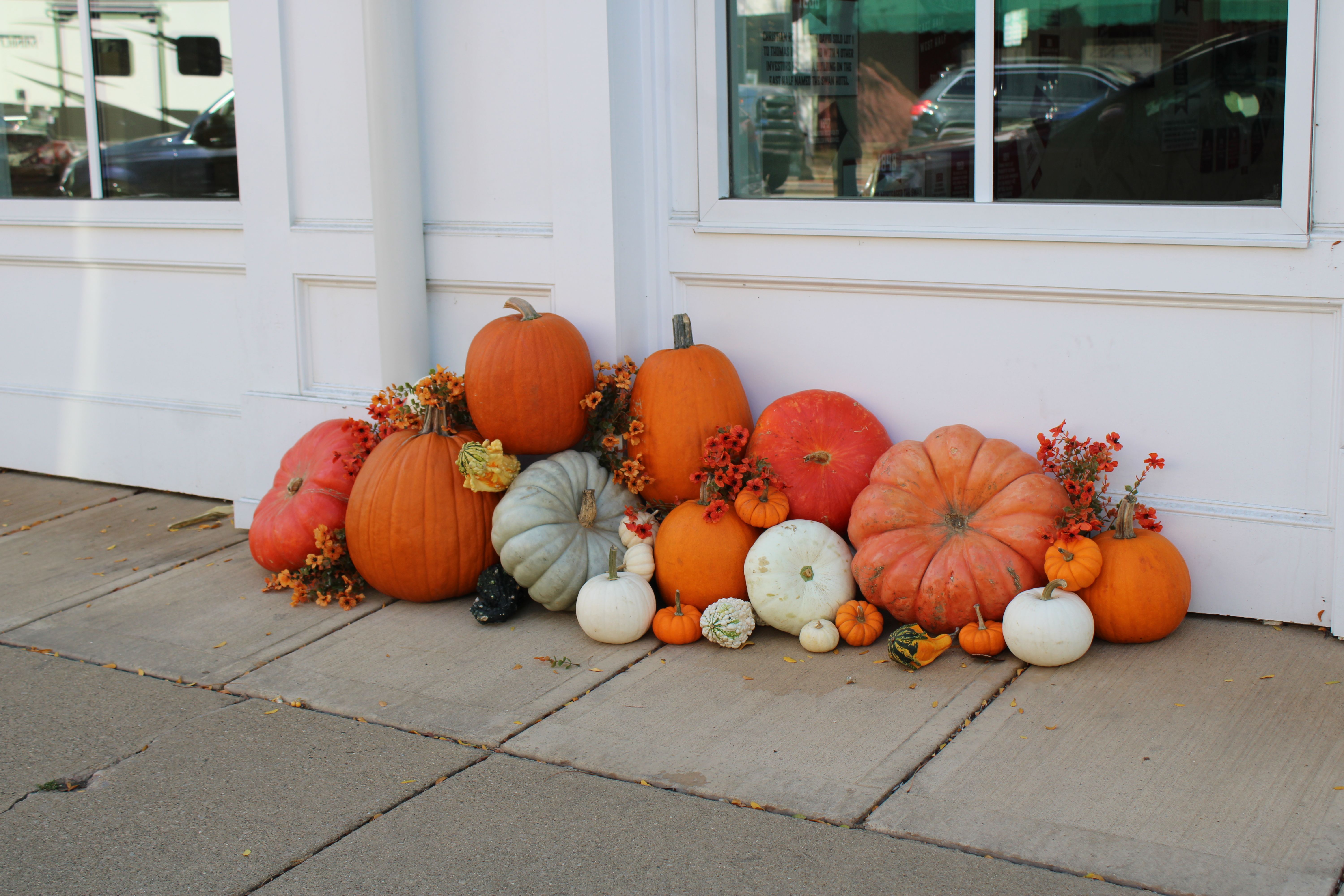 Colorful Pumpkin Display for Fall Decoration · Free Stock Photo