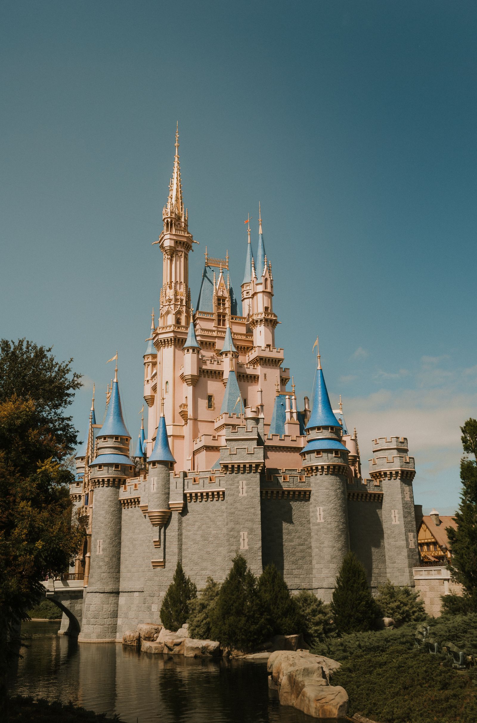 Disney World Photos, Download The BEST Free Disney World Stock Photos ...