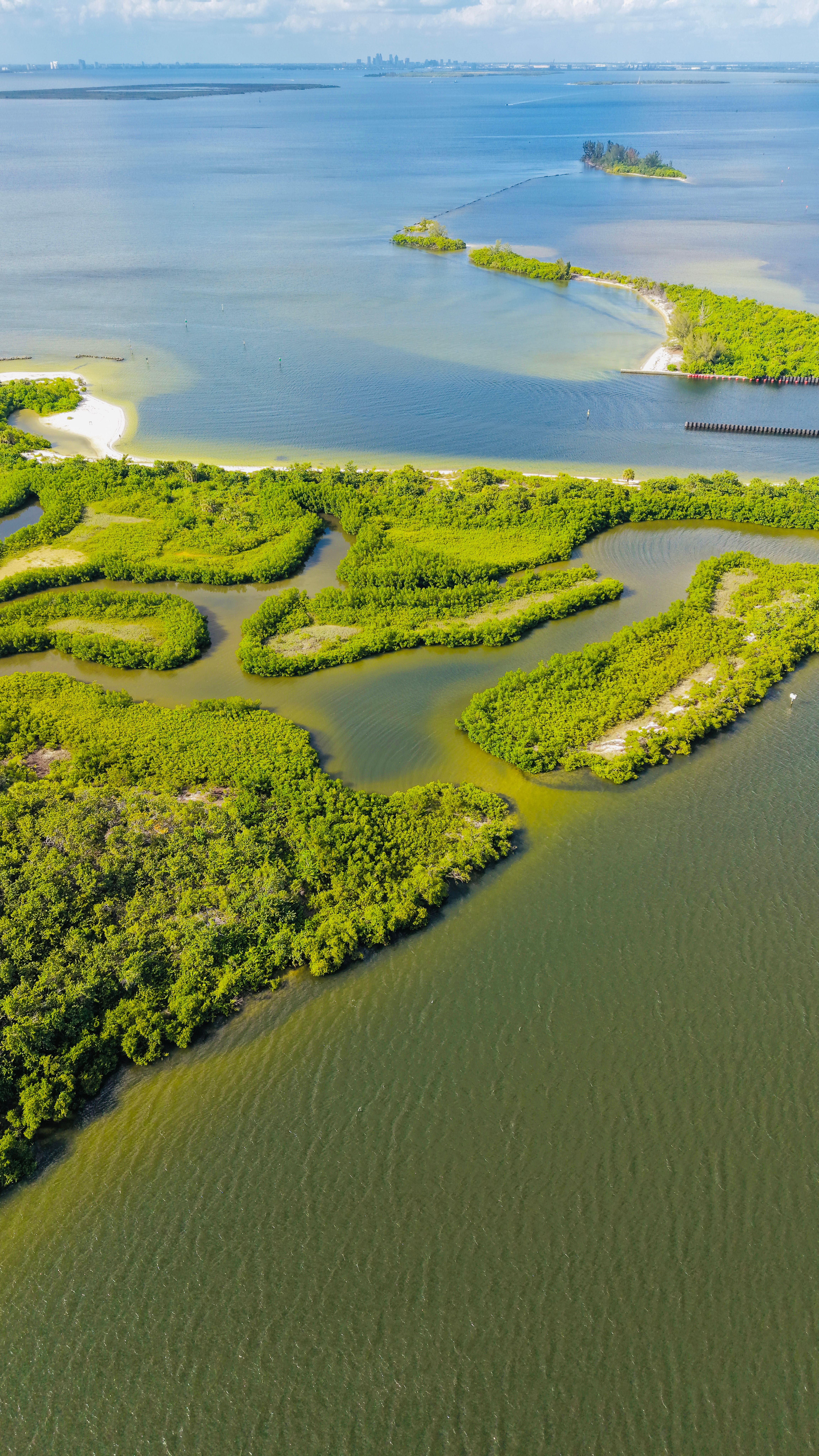 Florida Background Photos, Download The BEST Free Florida Background ...