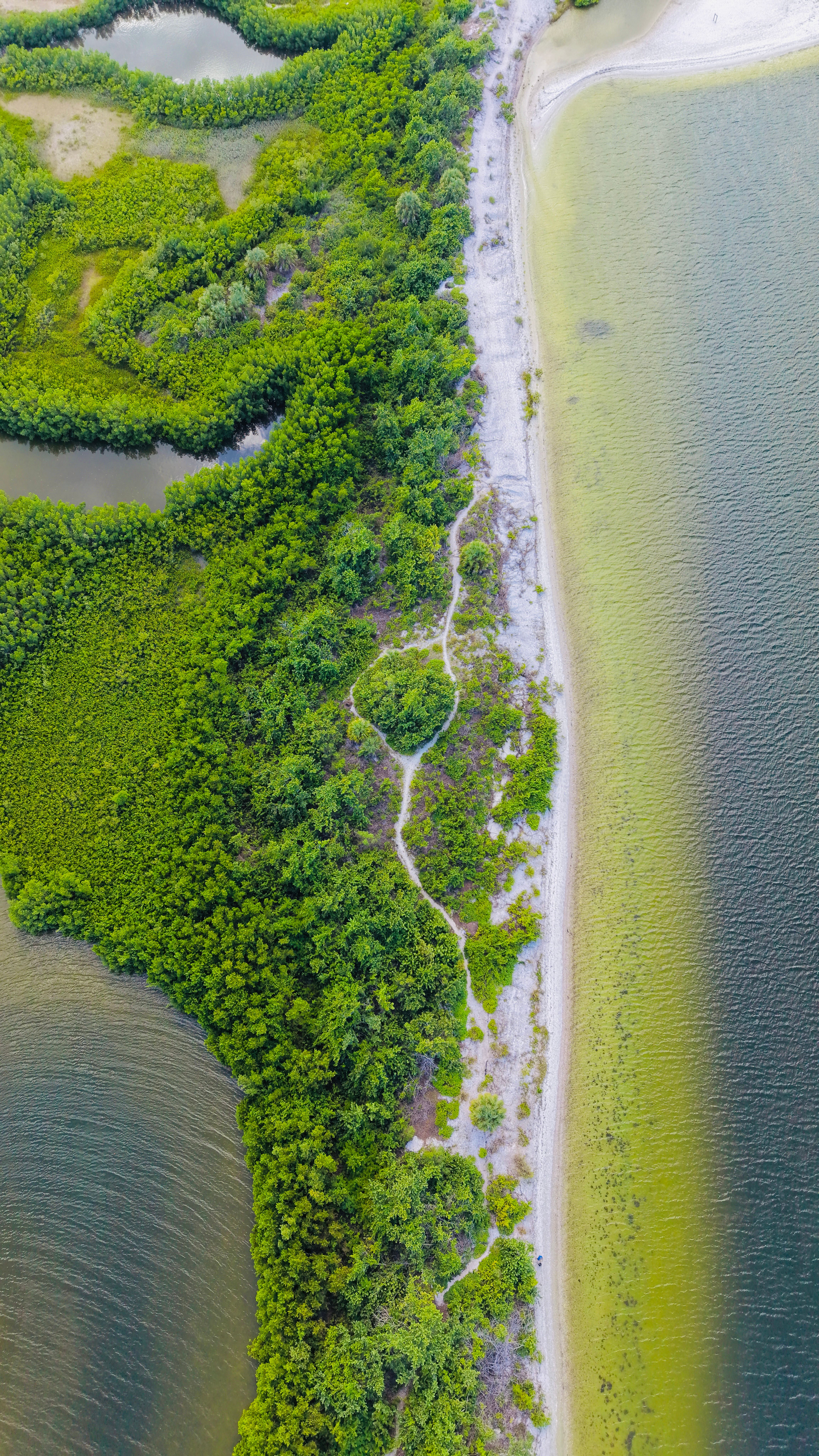 Scenic Aerial View of Florida's Coastal Landscape · Free Stock Photo
