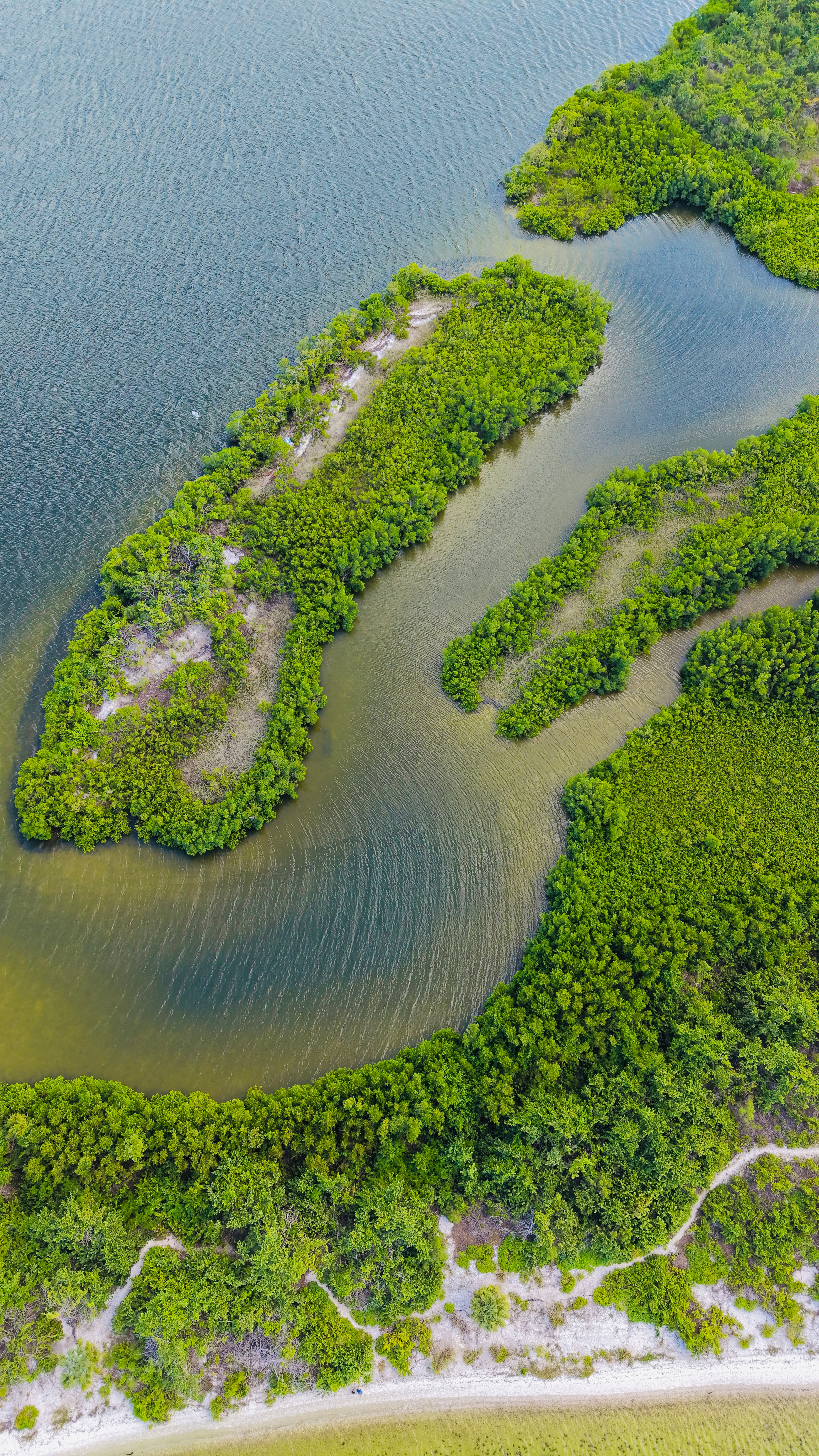 Aerial View of Mangrove Islands in Florida · Free Stock Photo
