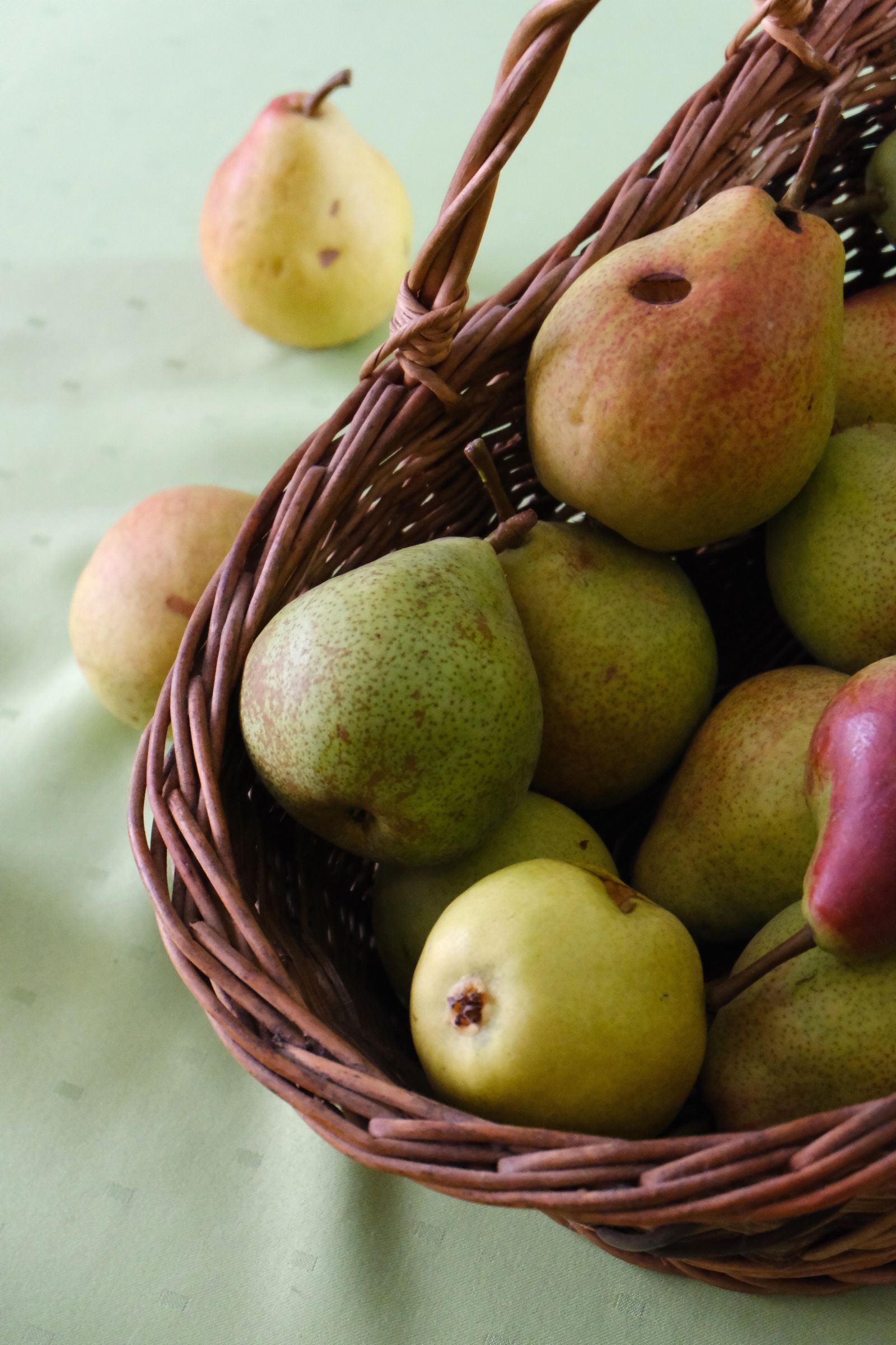 Pears Photos, Download The BEST Free Pears Stock Photos & HD Images