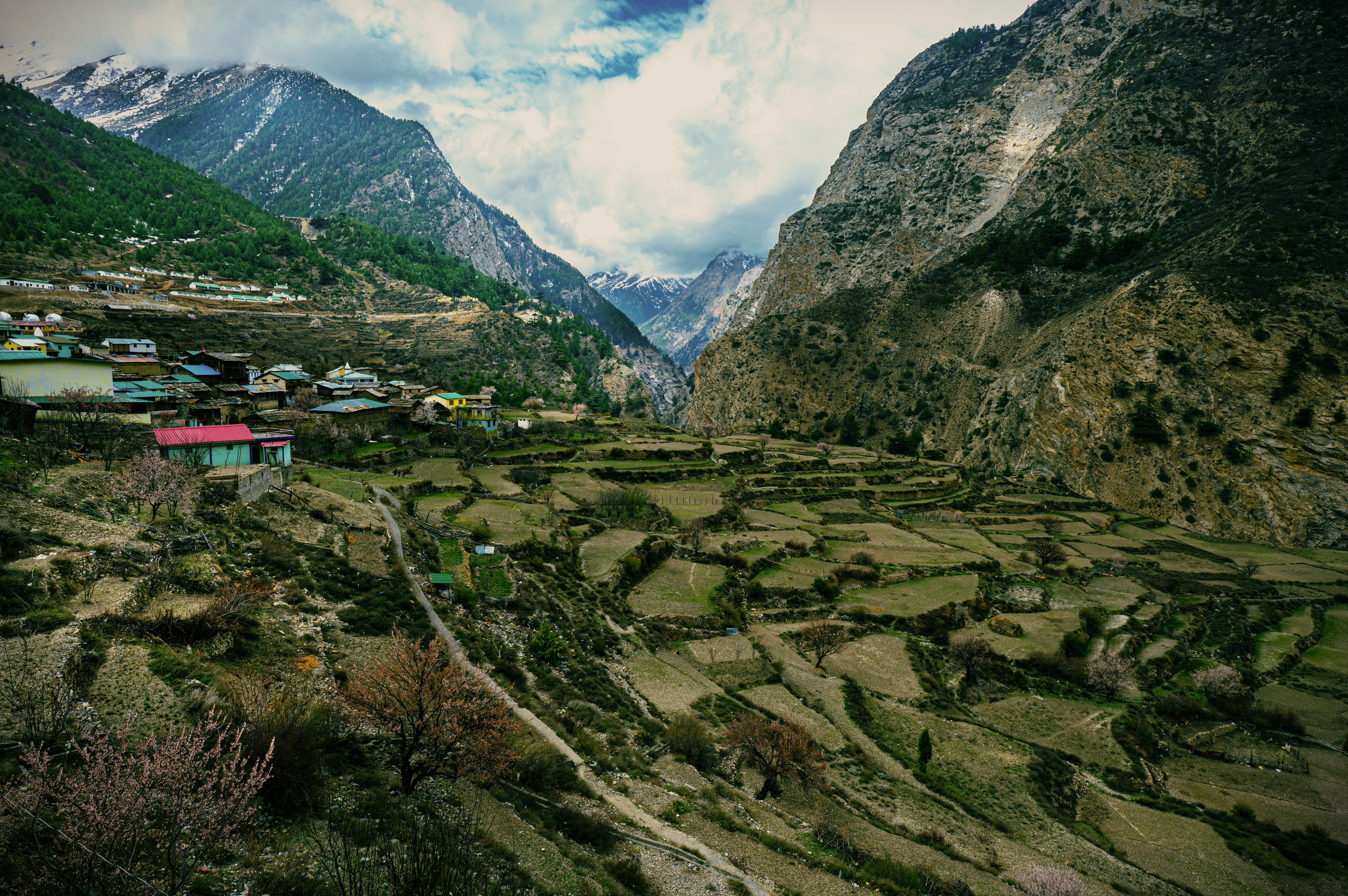 Serene Himalayan Landscape in Uttarakhand, India · Free Stock Photo