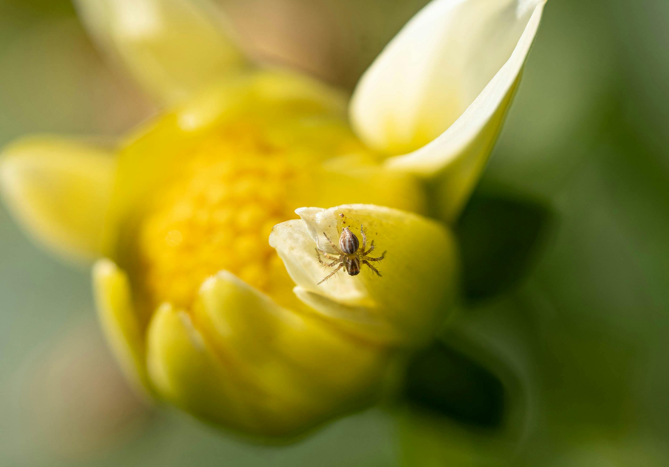 Detail Rokok Photos, Download The BEST Free Detail Rokok Stock Photos ...