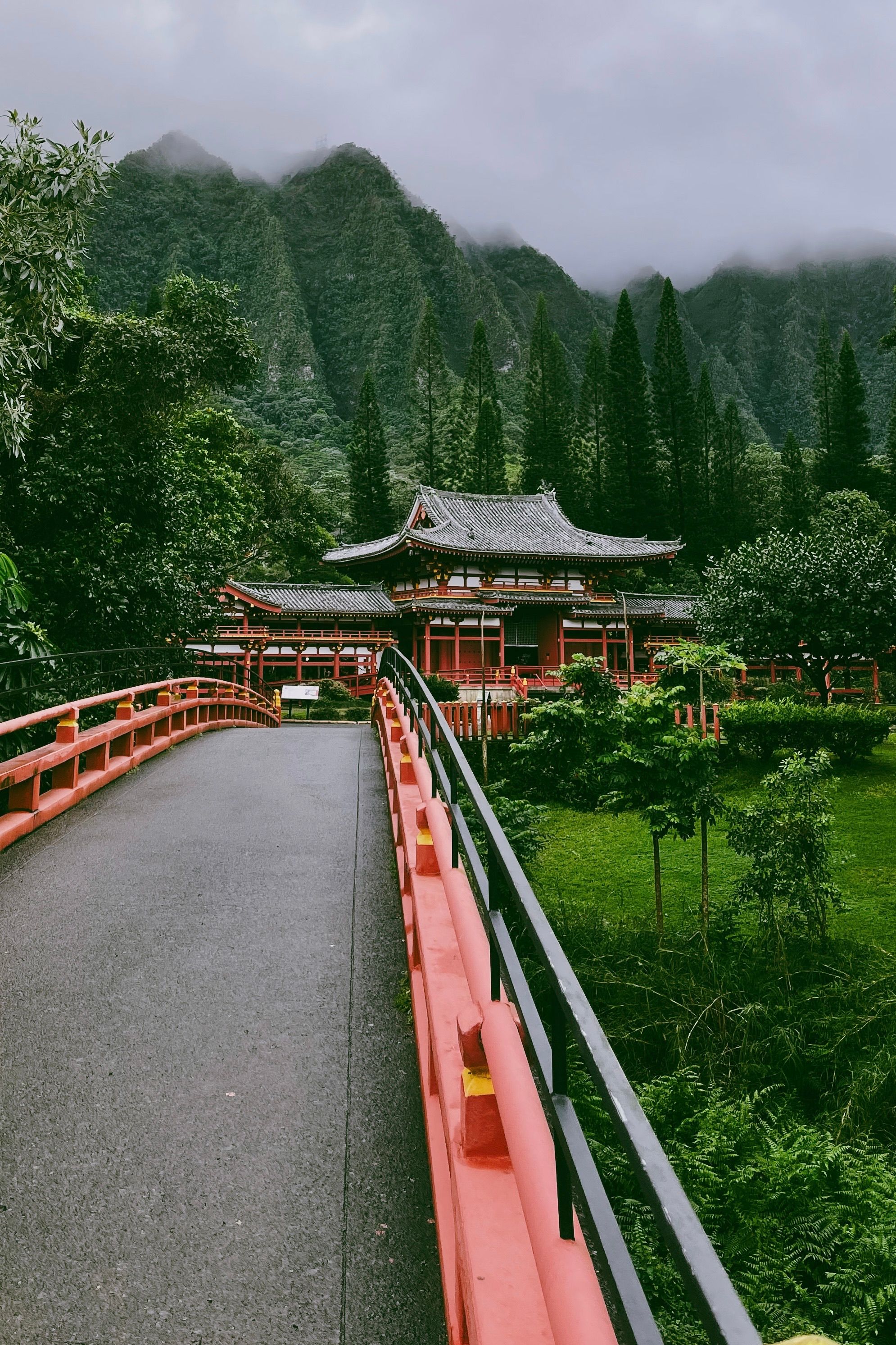 8k Rainforest Photos, Download The BEST Free 8k Rainforest Stock Photos ...