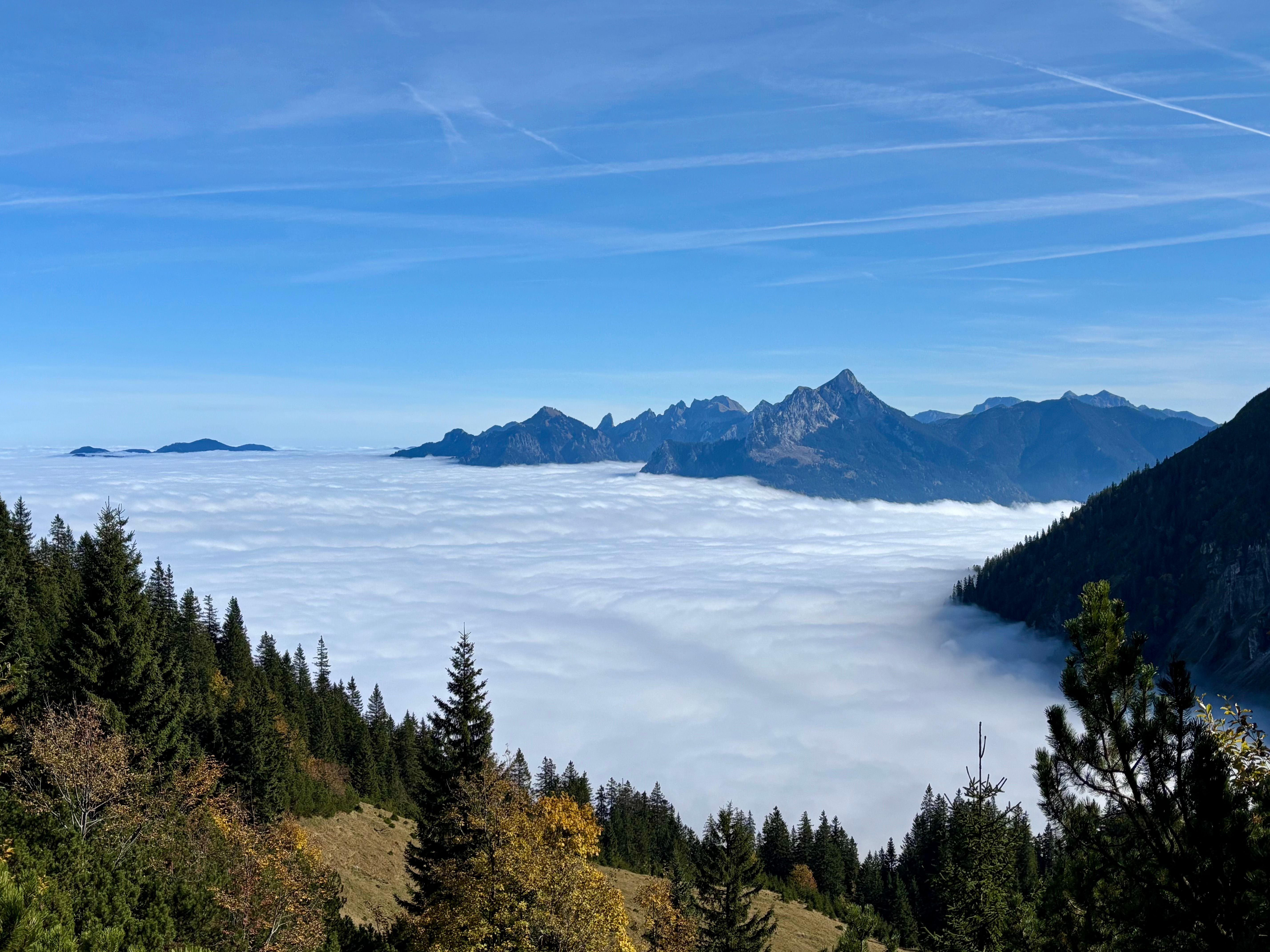 Majestic Mountain Peaks Above Sea of Clouds · Free Stock Photo
