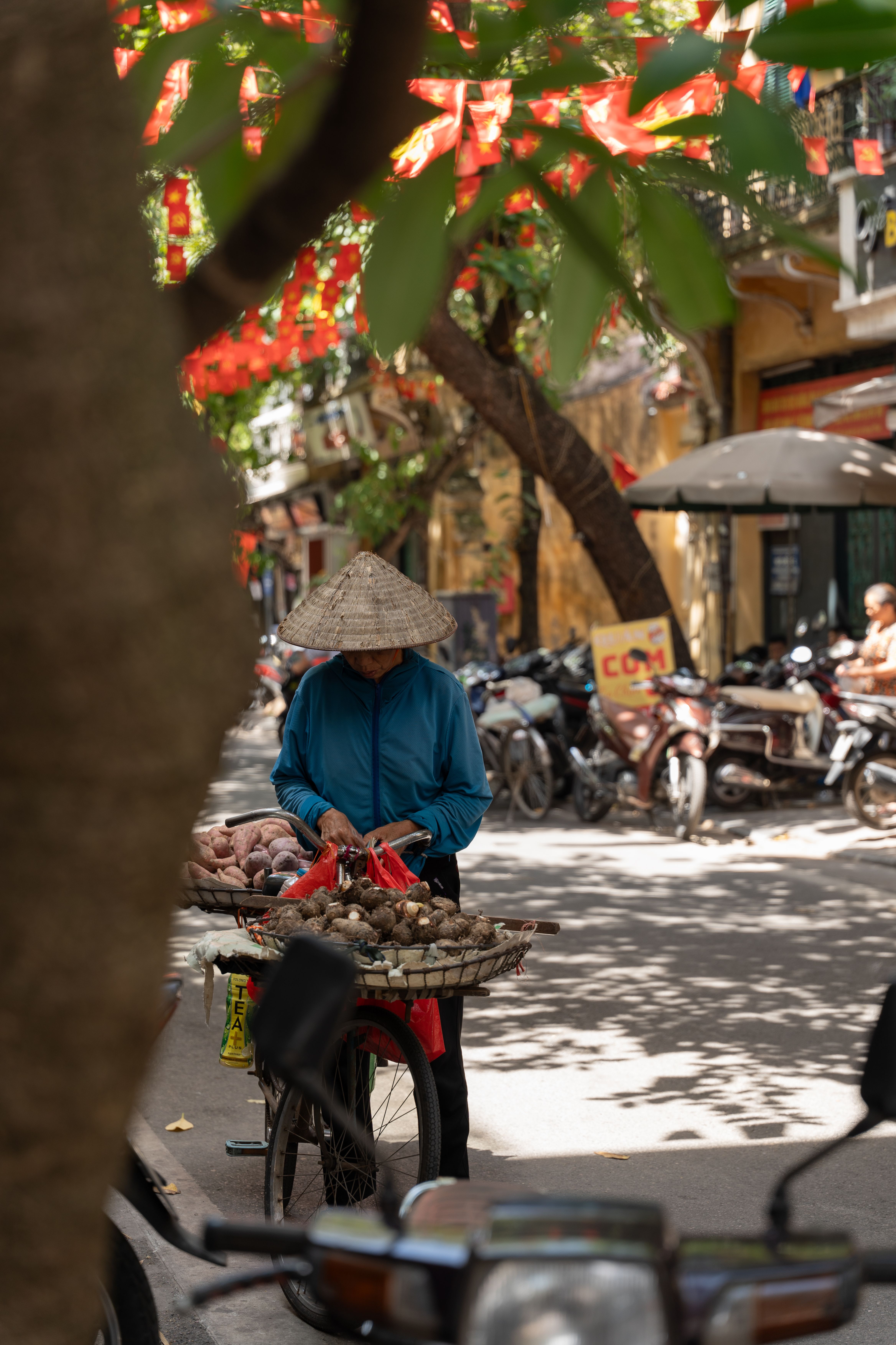 Vietnamese Travel Photos, Download The BEST Free Vietnamese Travel ...