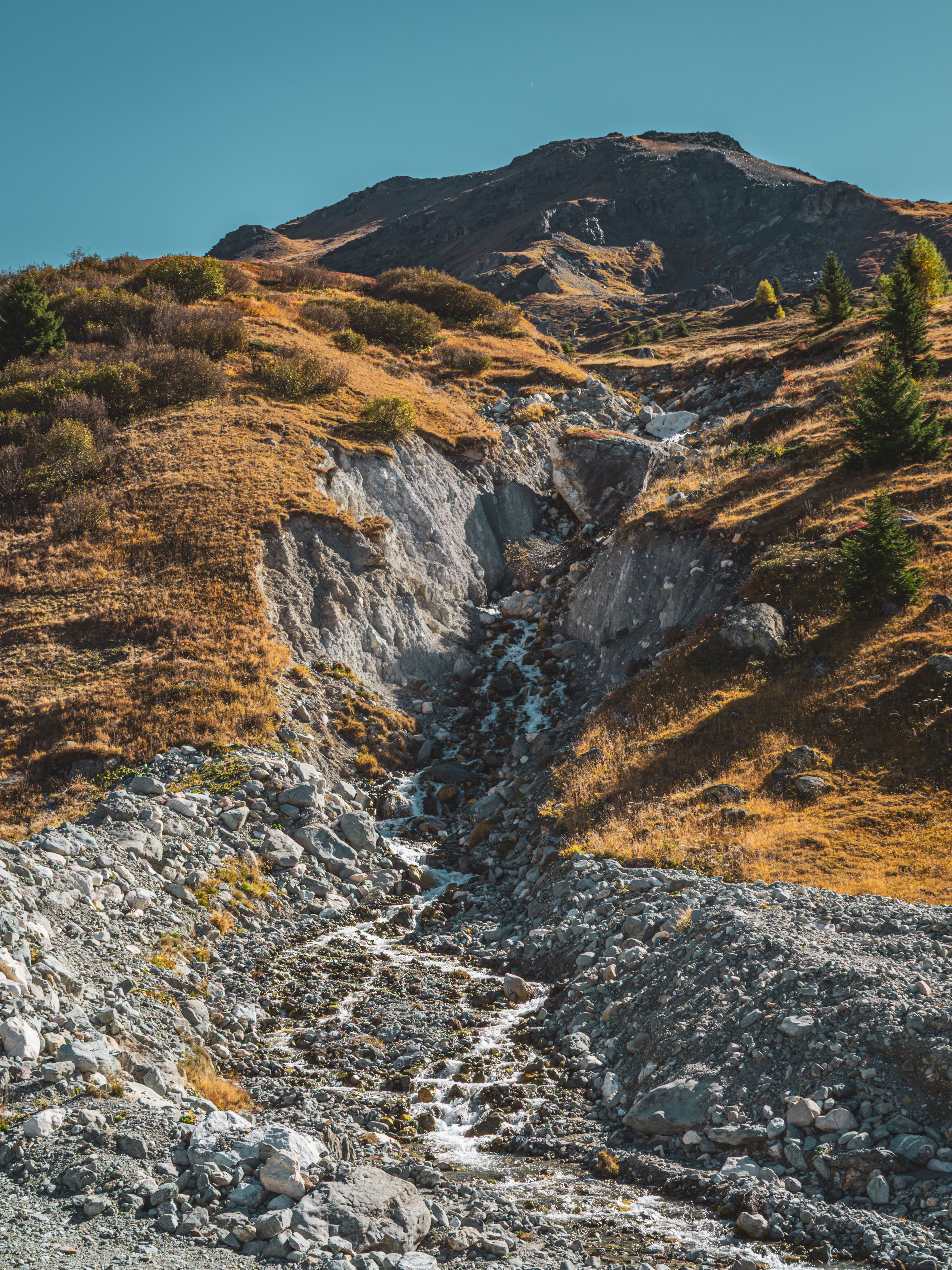 Colorful Cliffside Vegetation in Autumn · Free Stock Photo