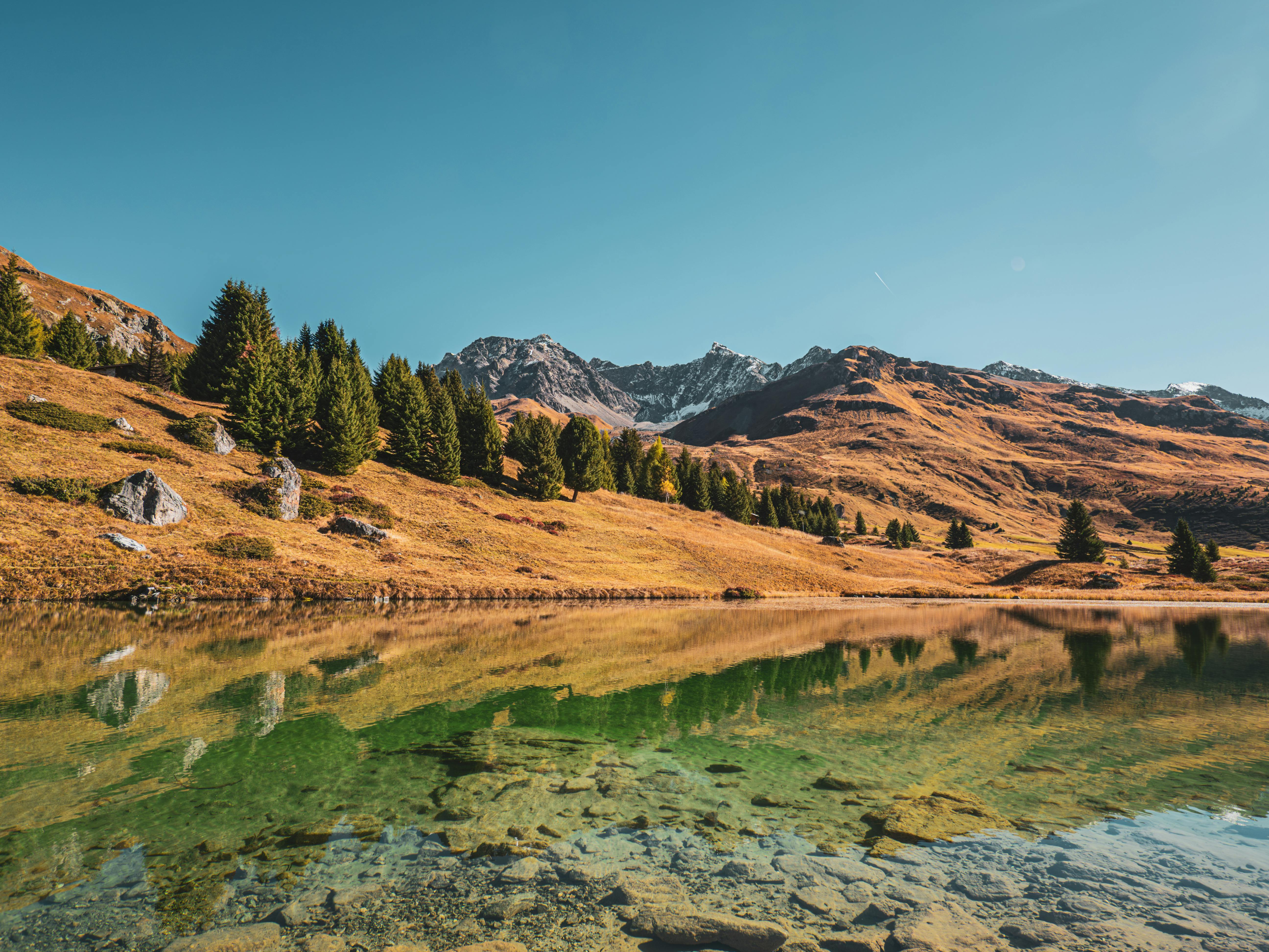 40.000+ melhores imagens de Qwen+image+横纹 · Download 100% grátis ...