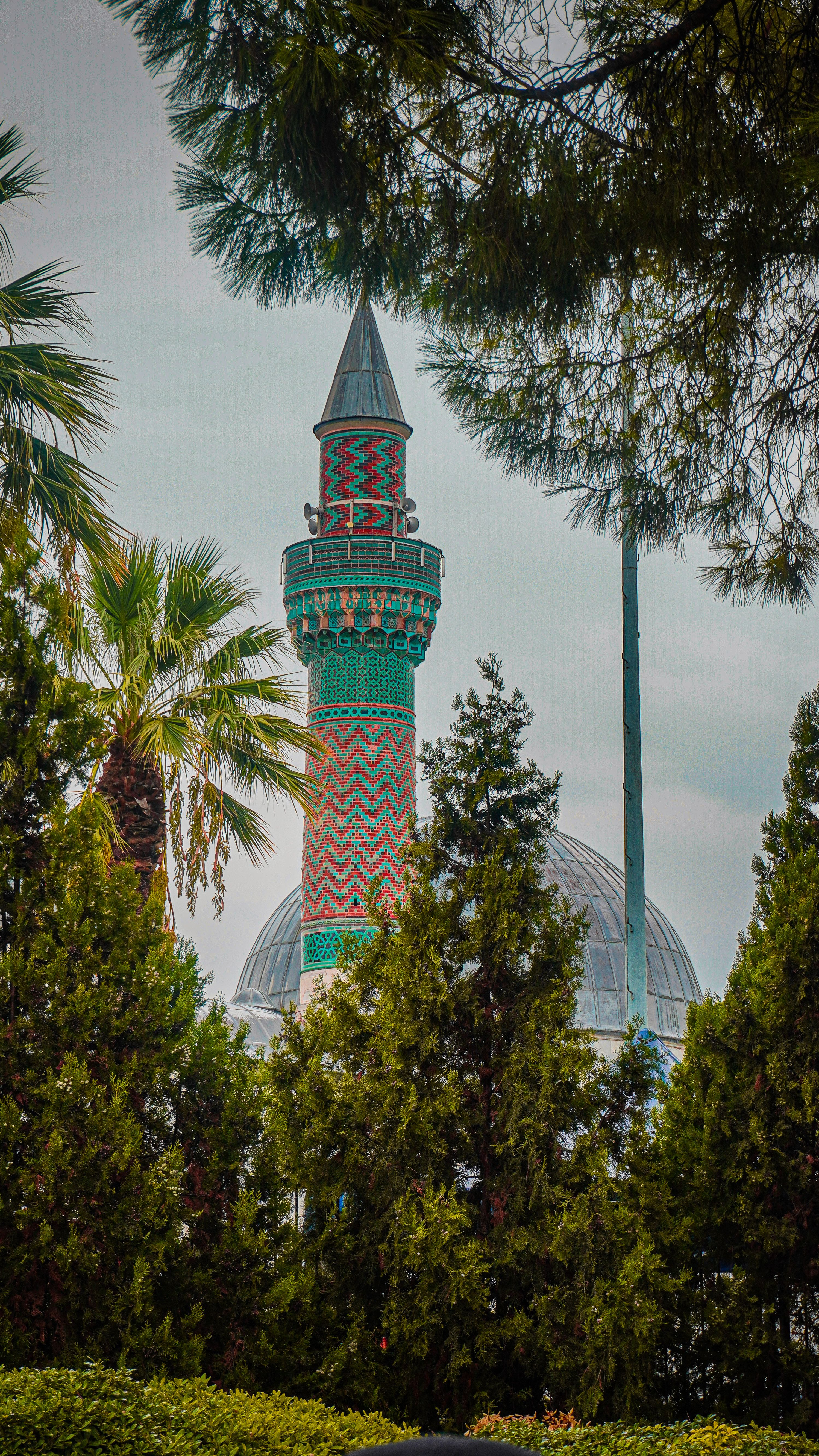 Levi Islam Photos, Download The BEST Free Levi Islam Stock Photos & HD ...