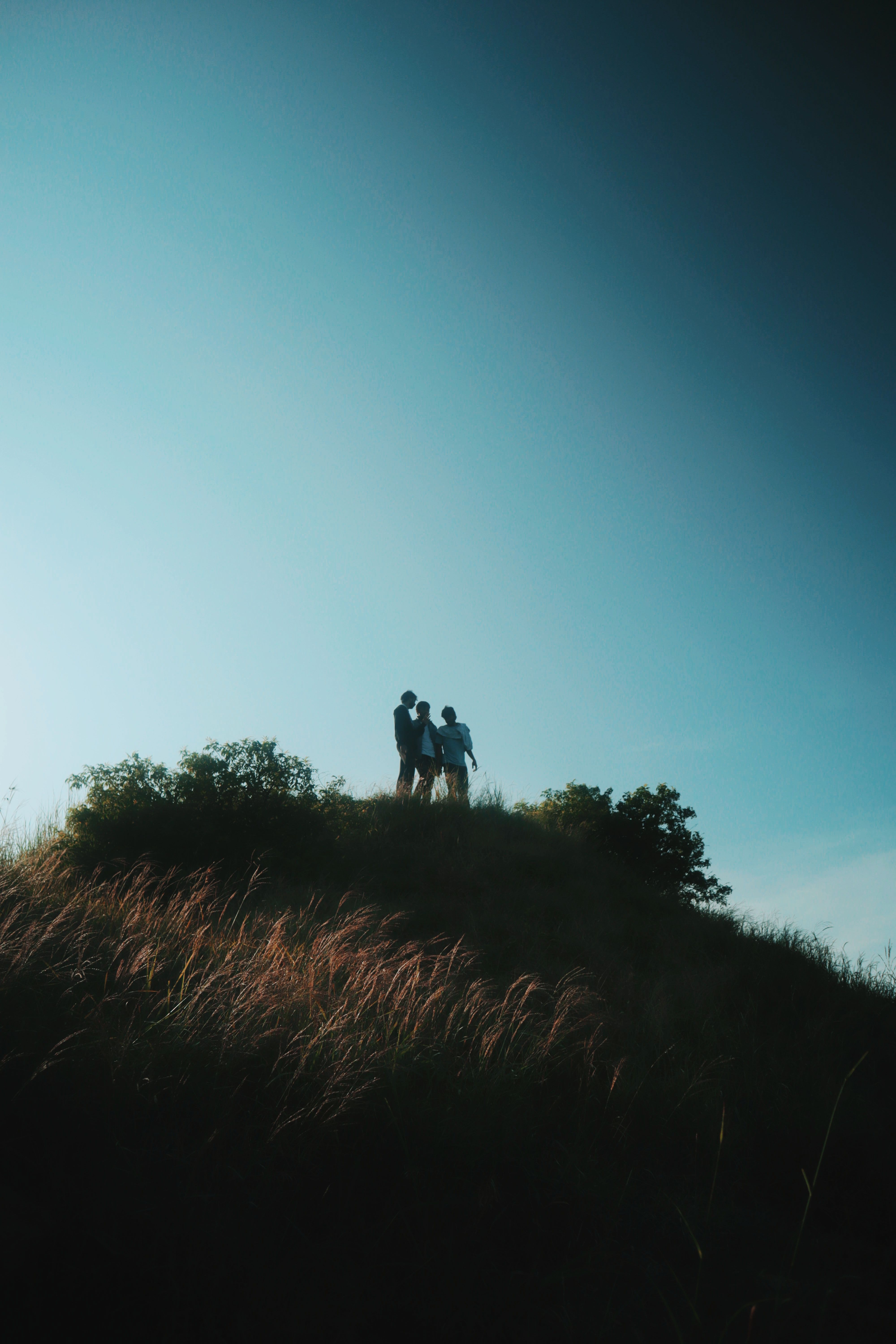 Silhouetted Group on Hilltop at Sunset · Free Stock Photo