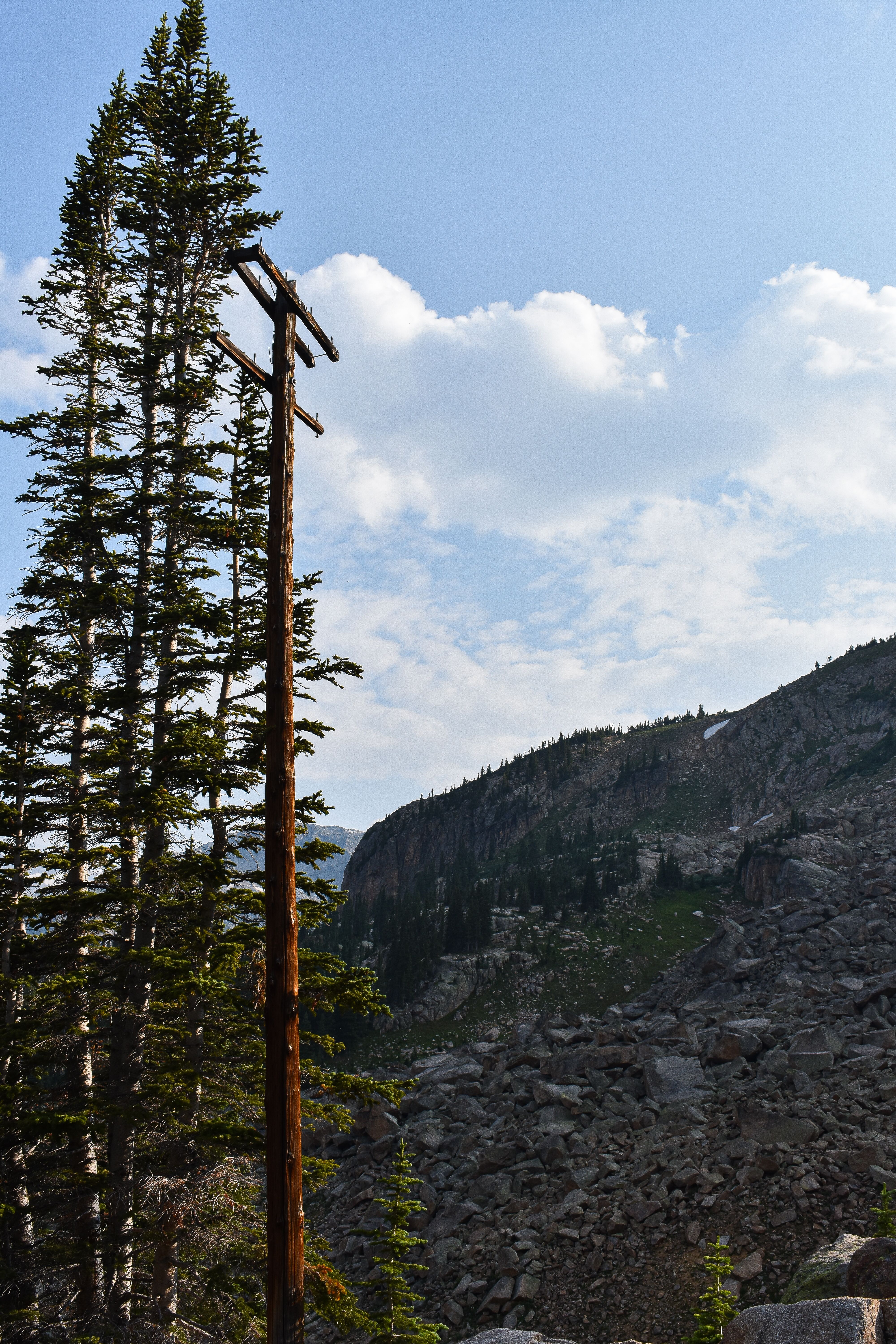 Red Cliff Colorado Dead Trees with Rocky Mountain View · Free Stock Photo