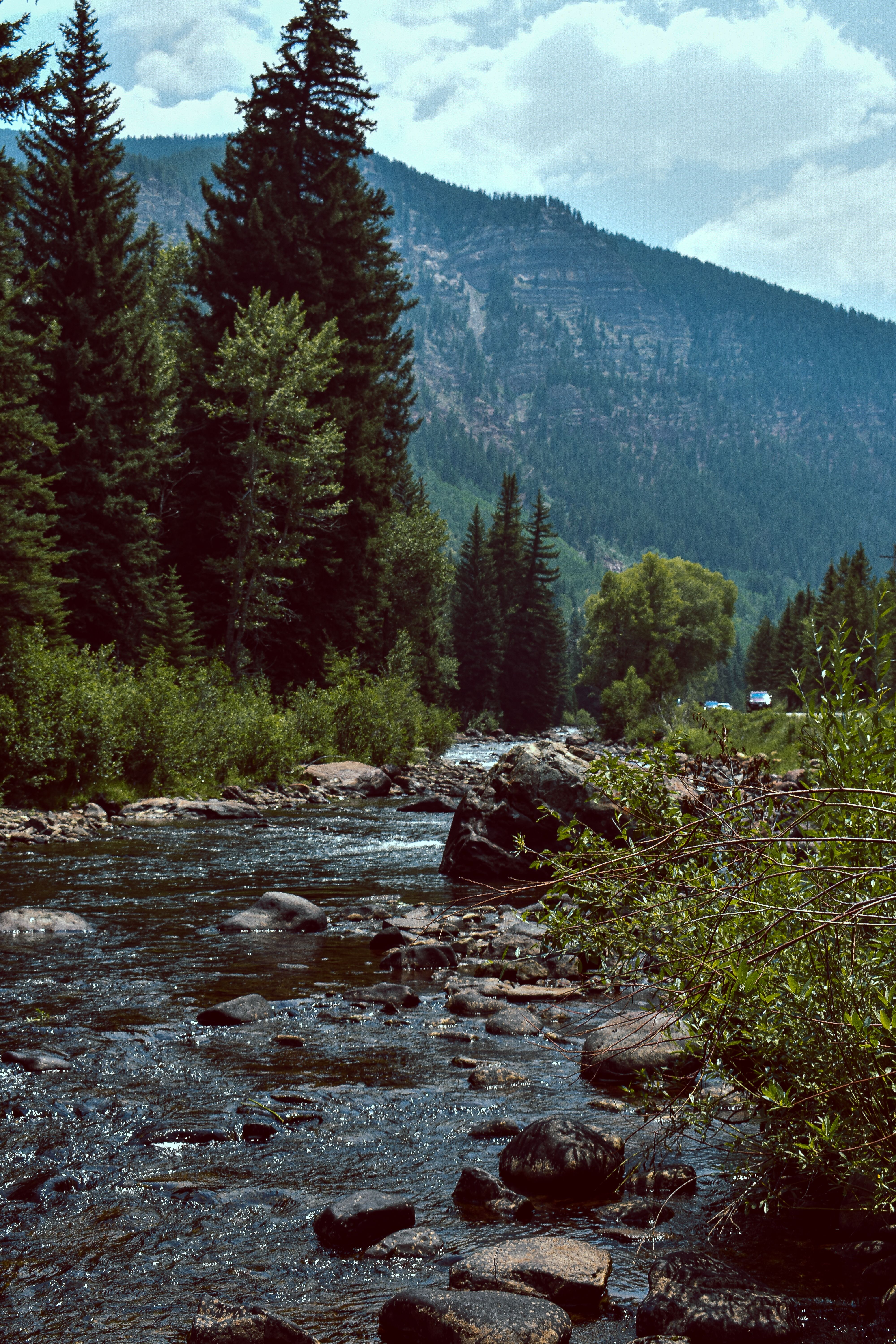 Tranquil Forest Stream in Red Cliff, Colorado · Free Stock Photo