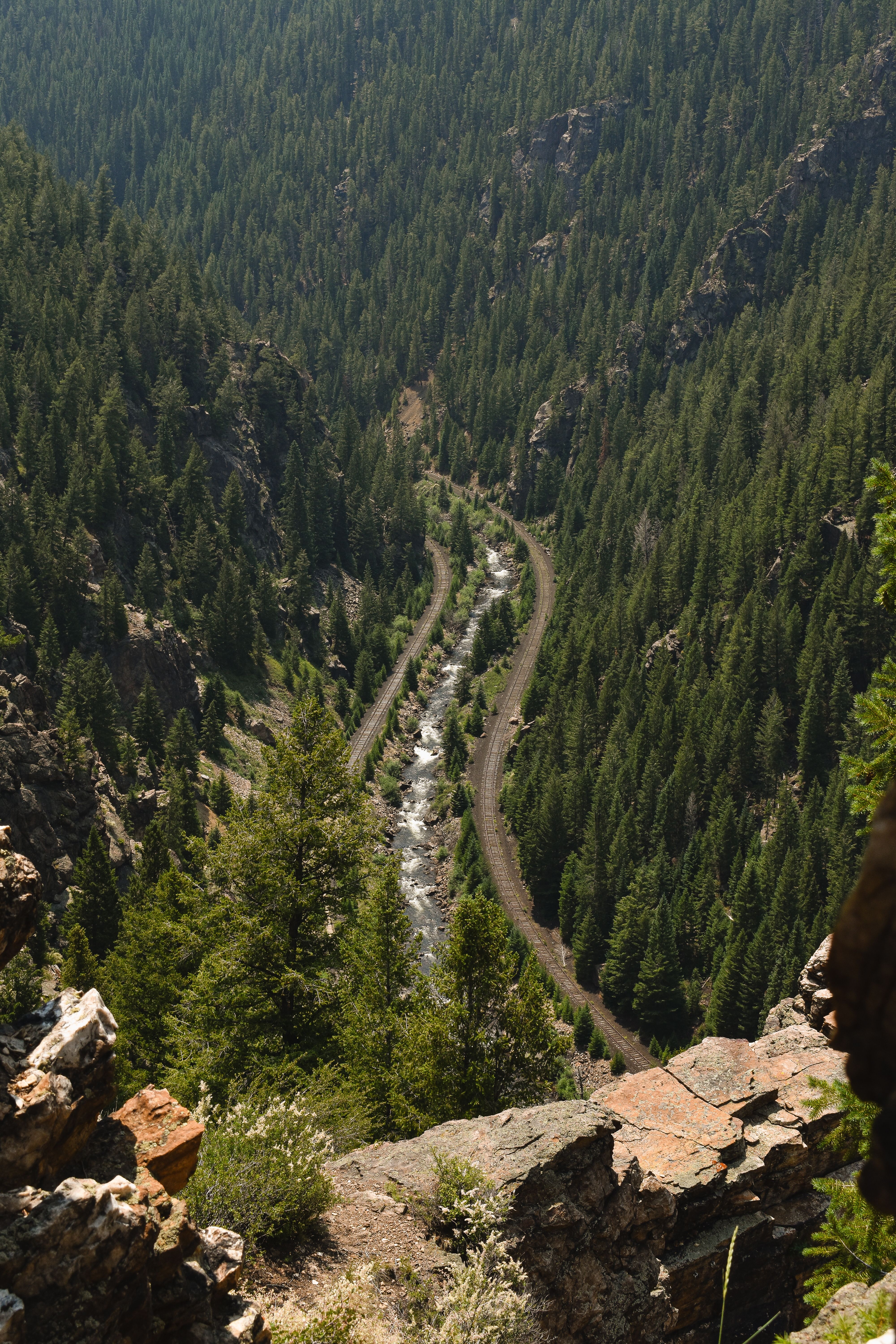 Aerial View of Evergreen Forest in Colorado · Free Stock Photo