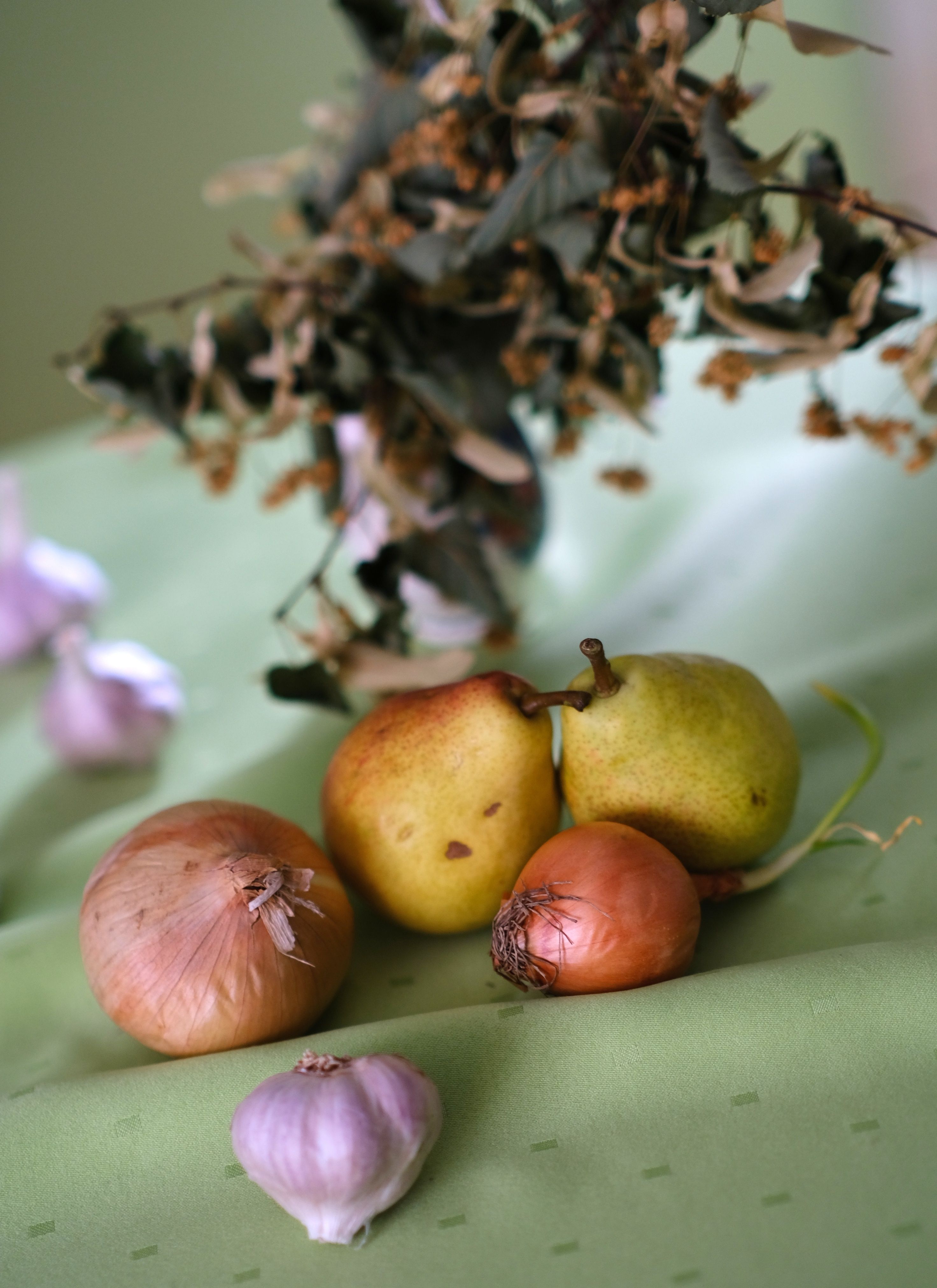 Bulbs Vegetate Photos, Download The BEST Free Bulbs Vegetate Stock ...