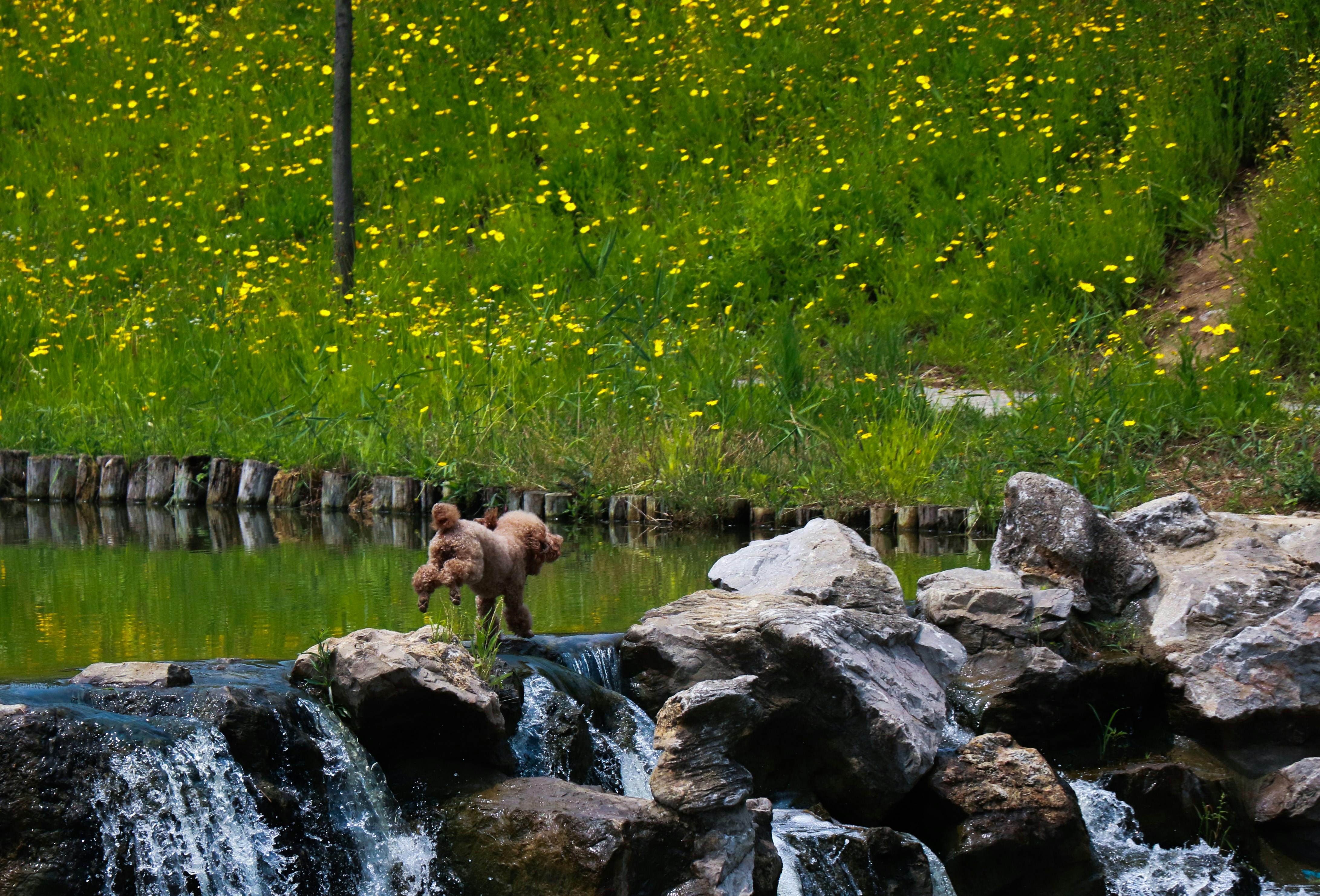 Yuzhe Yang - Fotografía