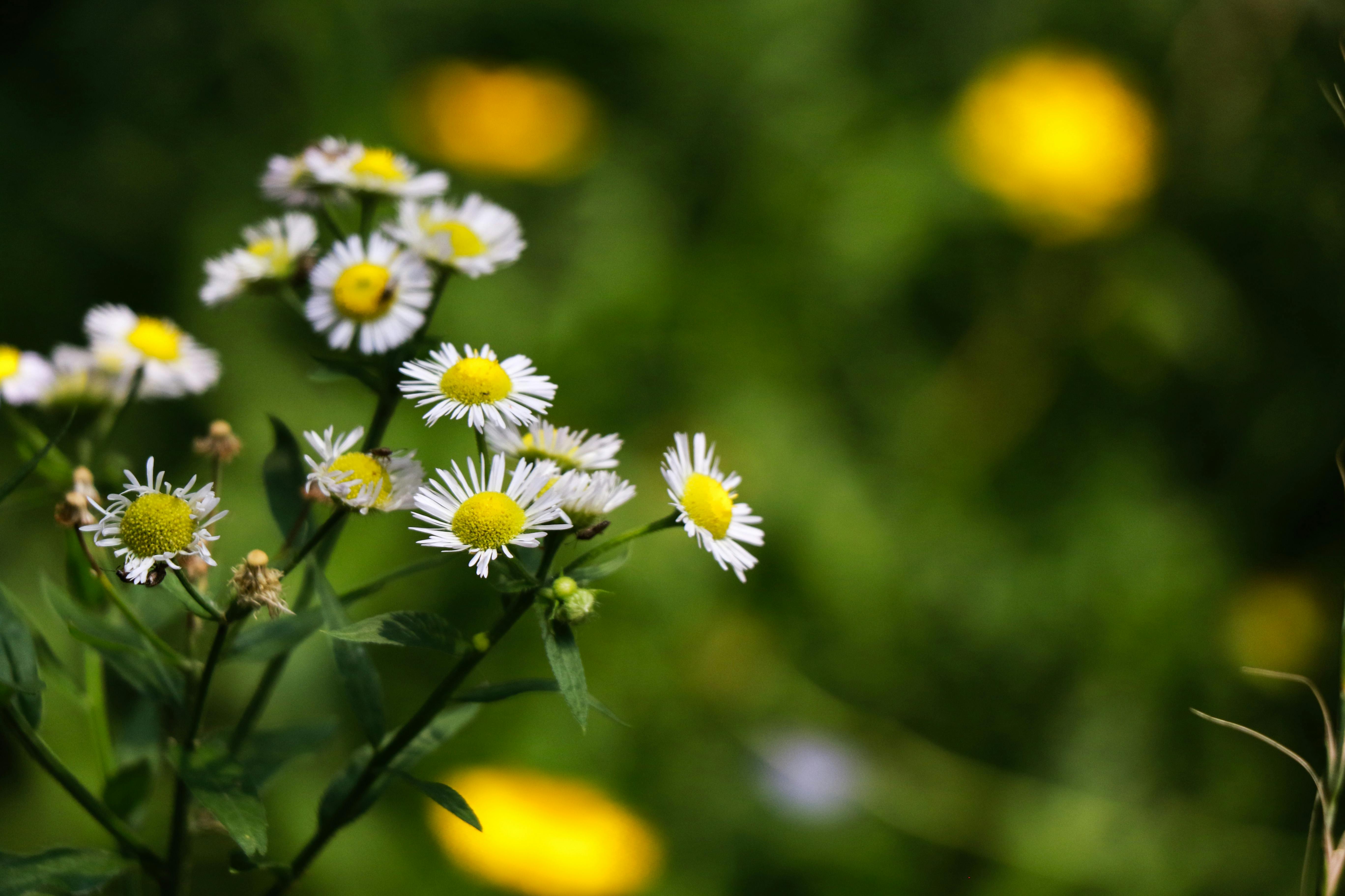 Yuzhe Yang - Fotografía