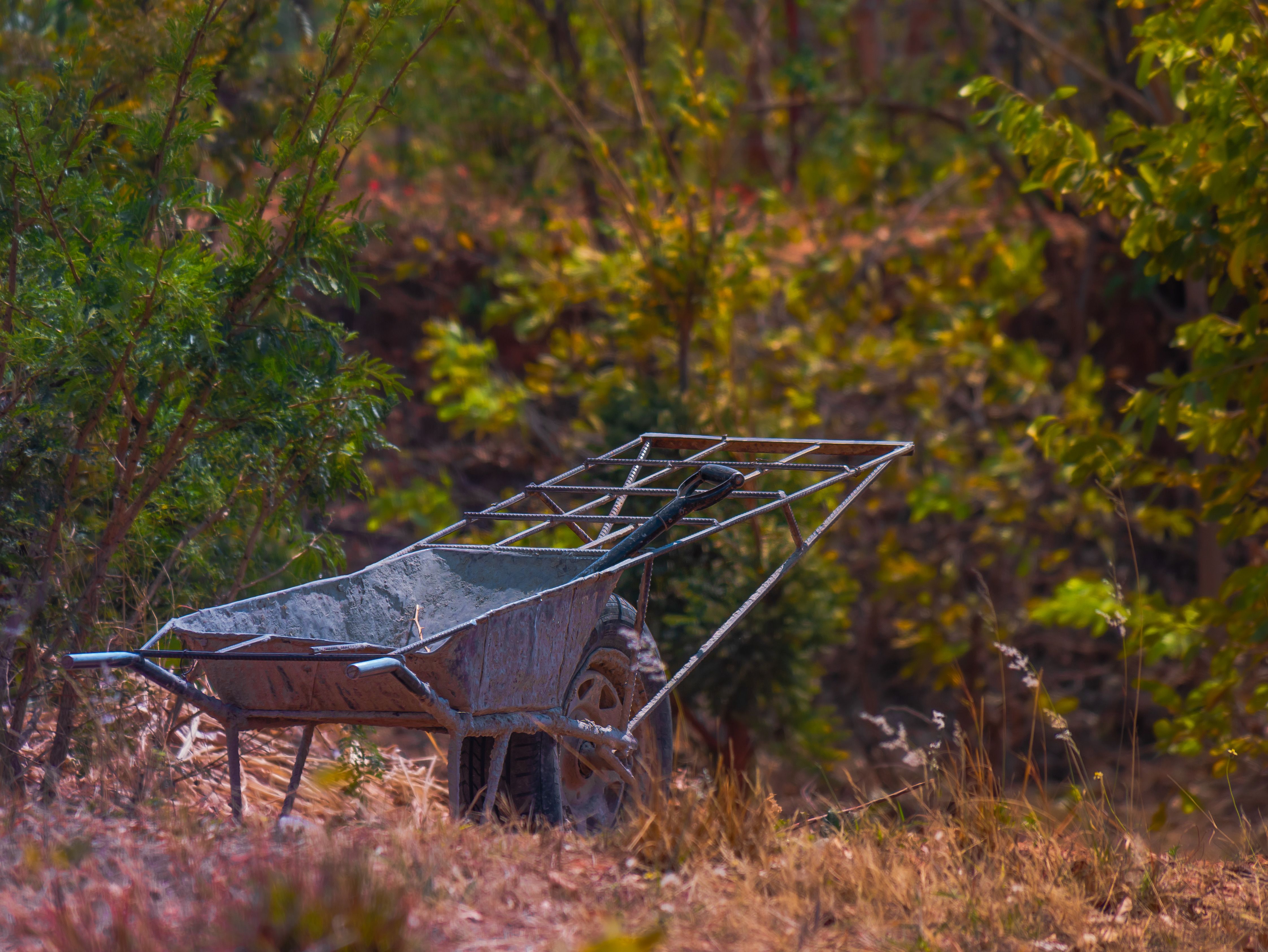 Rustic Wheelbarrow in Autumn Forest Landscape · Free Stock Photo