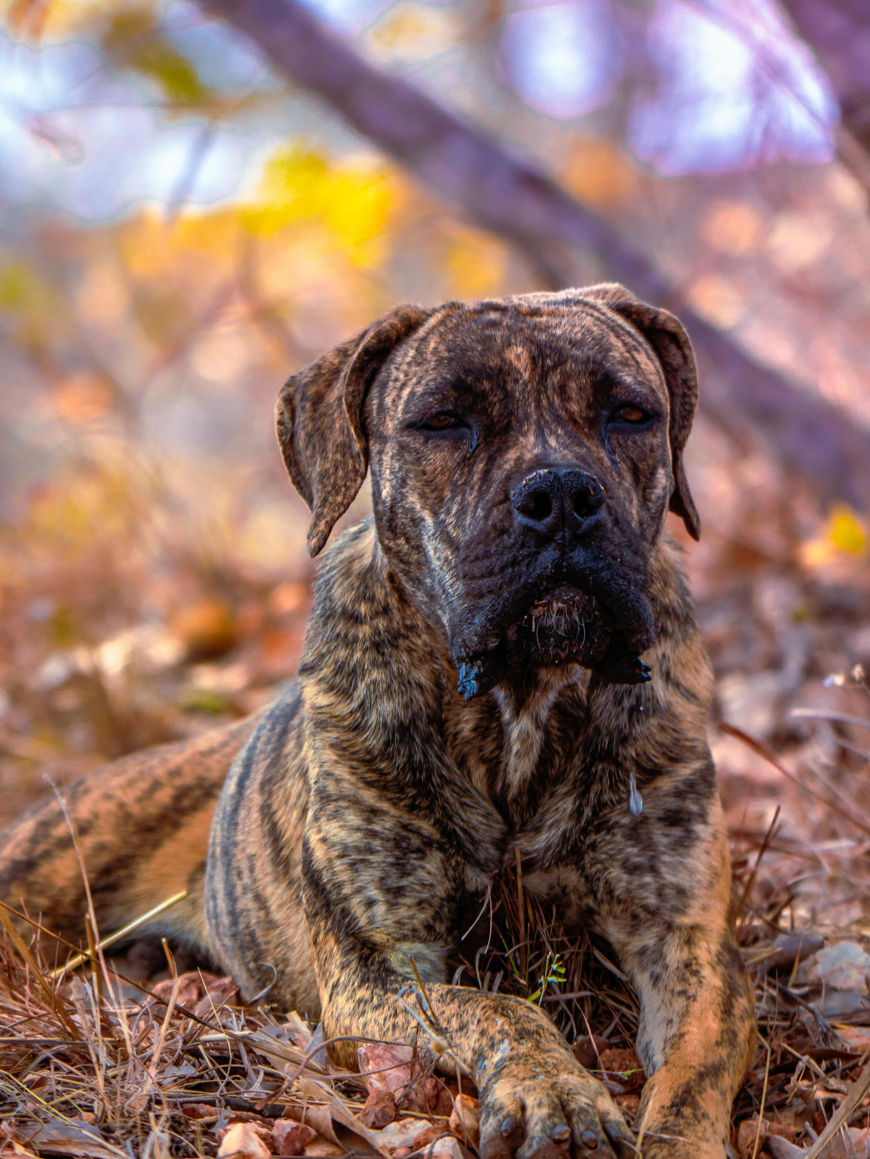 Big Boods Photos, Download The BEST Free Big Boods Stock Photos & HD Images