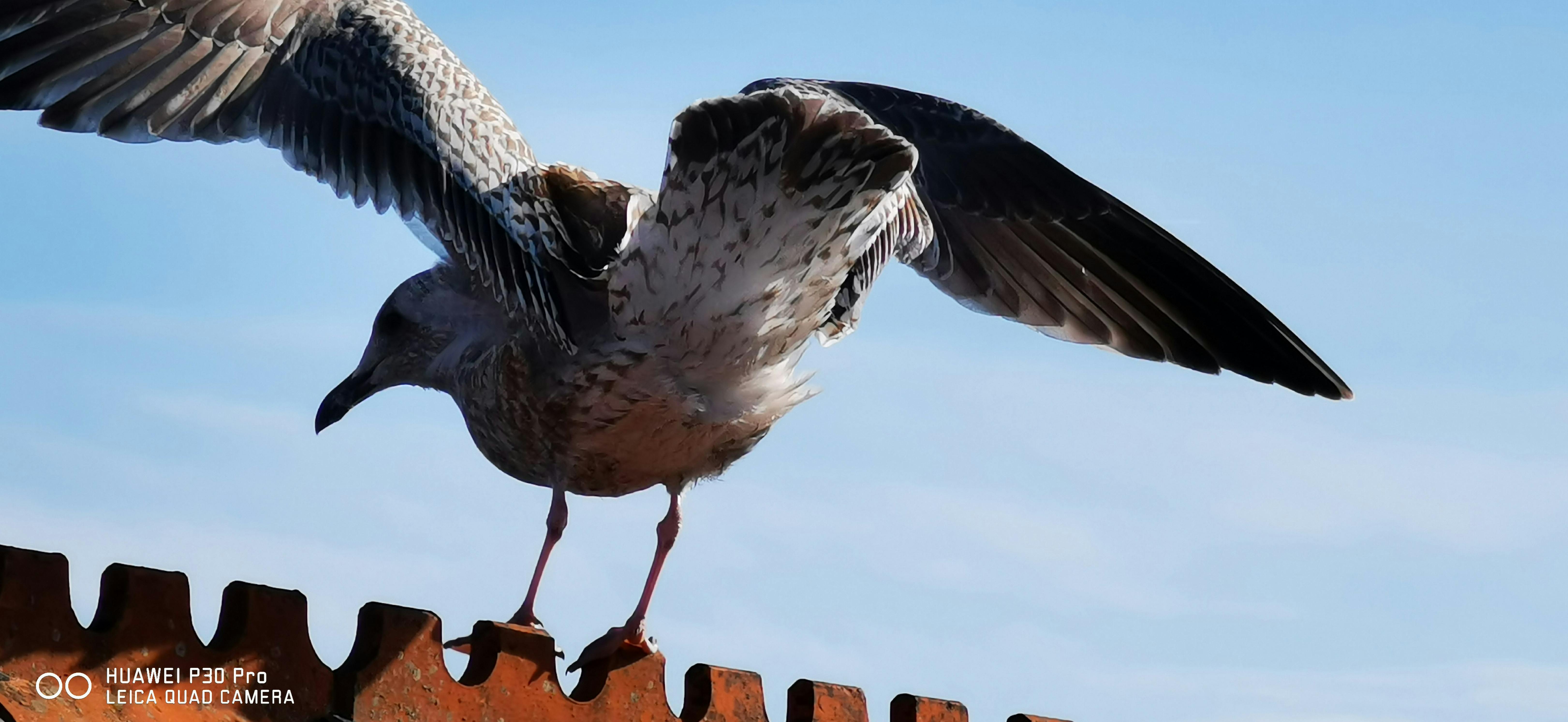 Yuzhe Yang - Fotografía