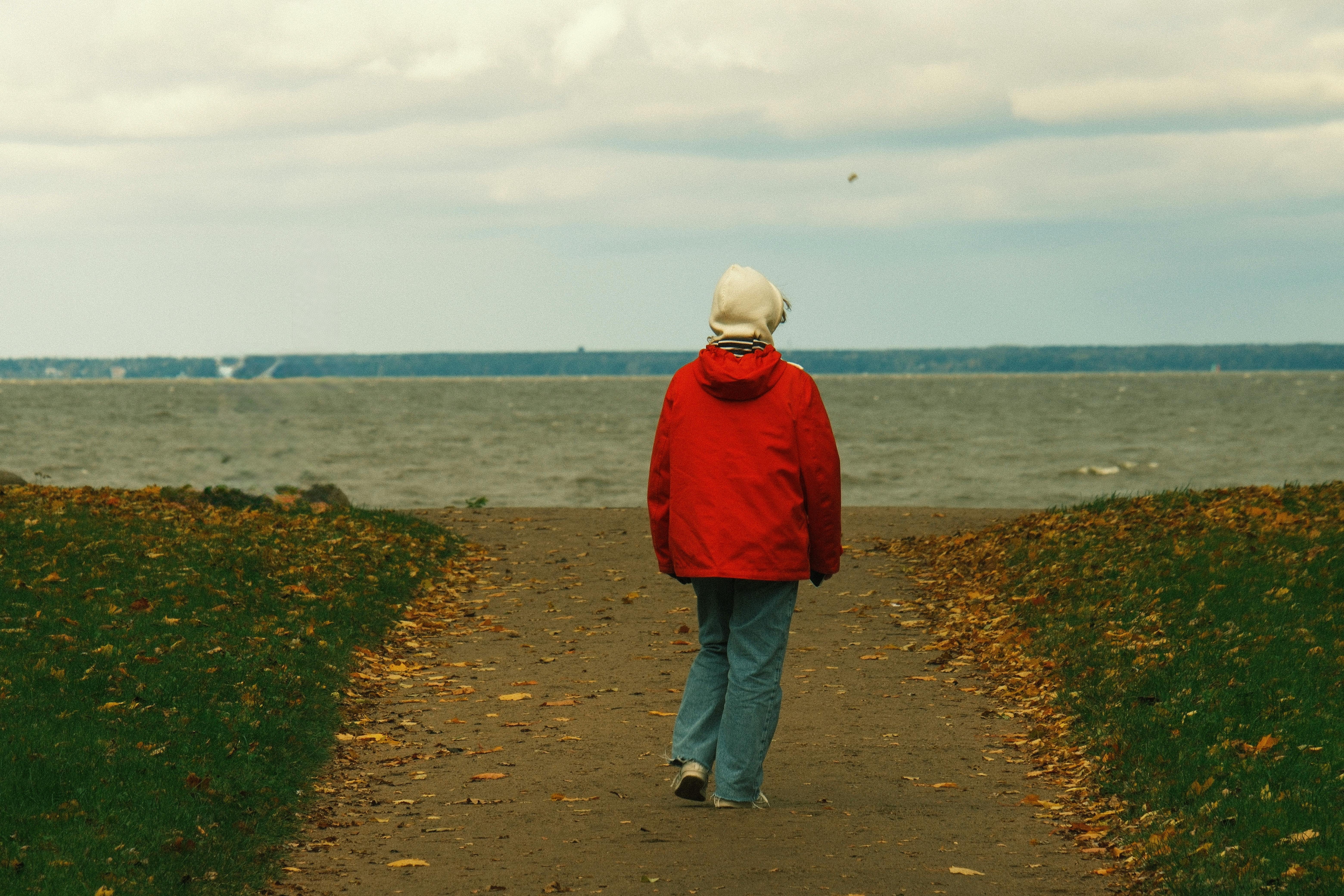 Fall Back Time Photos, Download The BEST Free Fall Back Time Stock ...