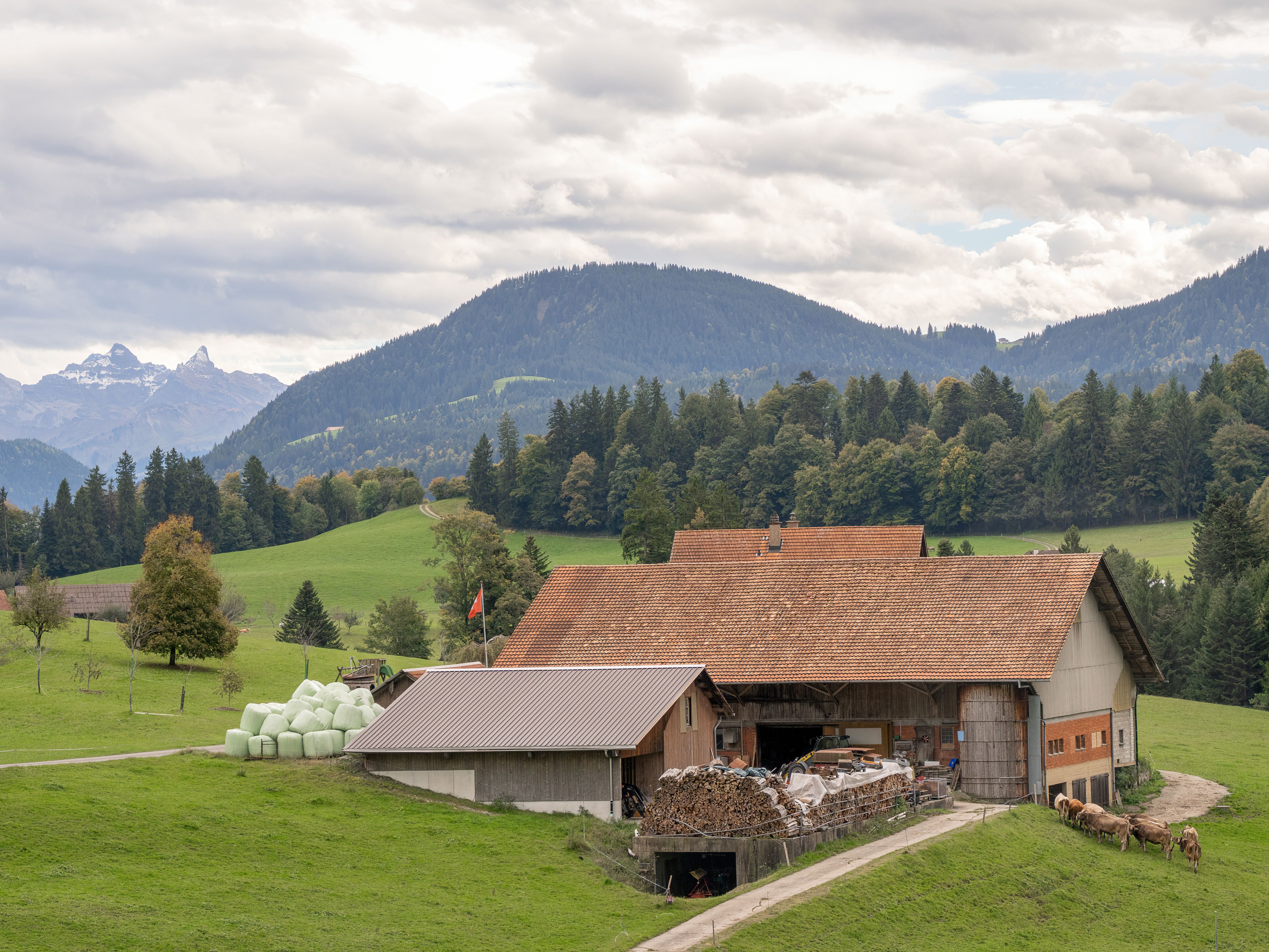 Charming Swiss Farmhouse in Mountainous Landscape · Free Stock Photo